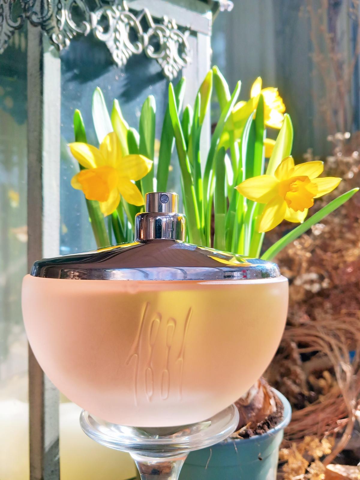 1881 Cerruti perfume - a fragrance for women 1995