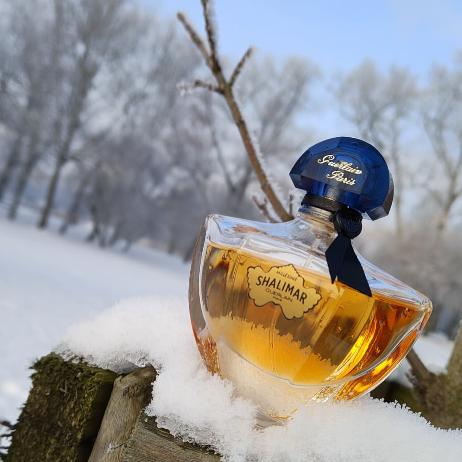 Shalimar Millésime Vanilla Planifolia Guerlain perfume - a fragrance ...