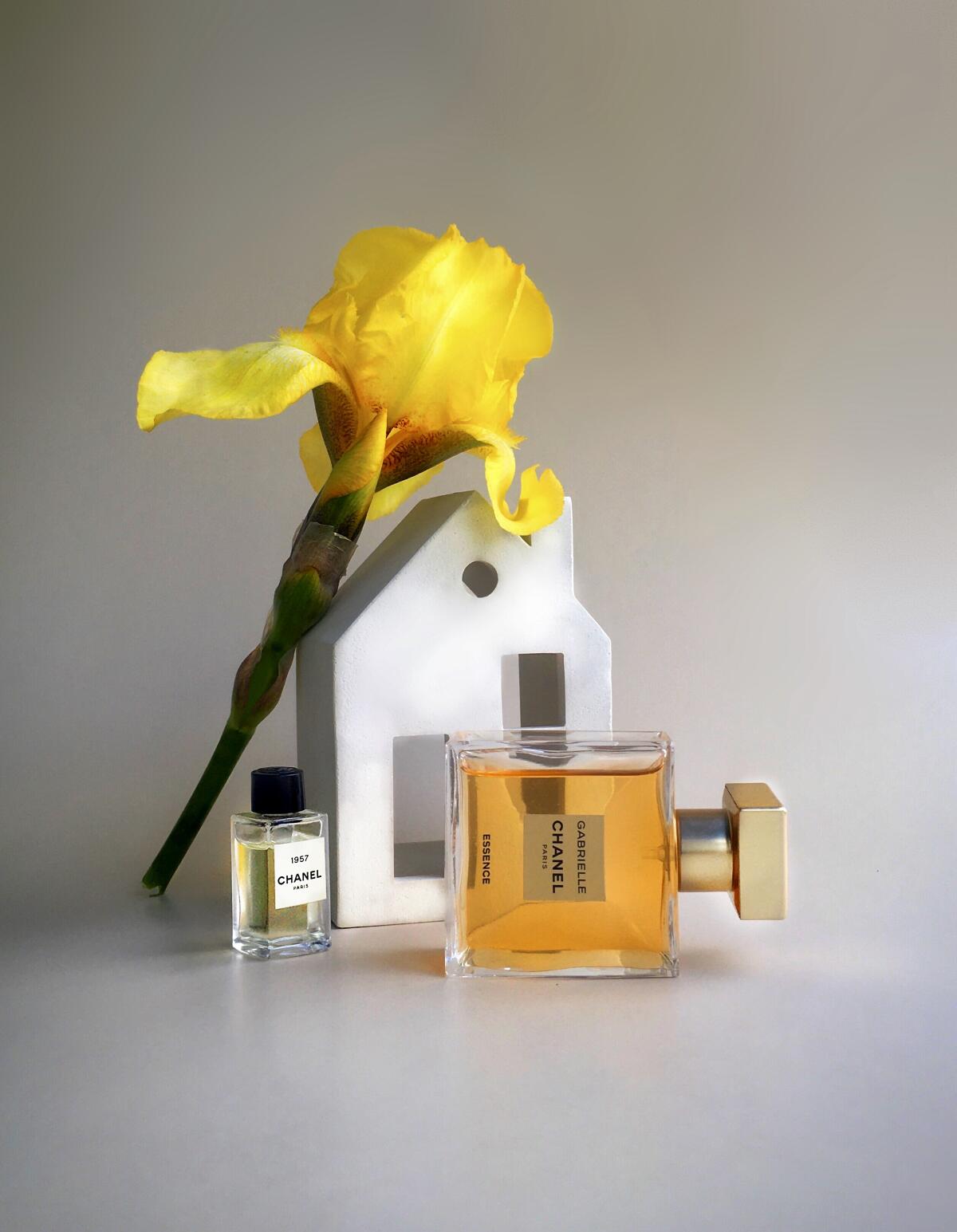 1957 Eau de Parfum Chanel perfume - a fragrance for women and men 2019
