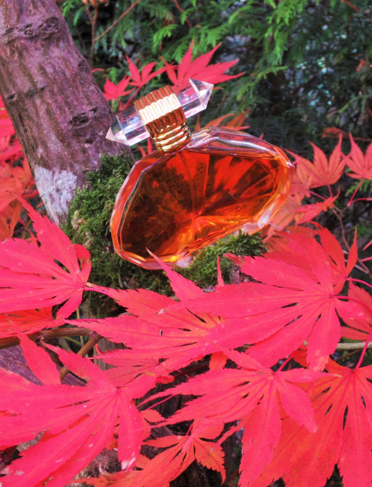 Van Cleef Van Cleef & Arpels perfume - a fragrance for women 1993