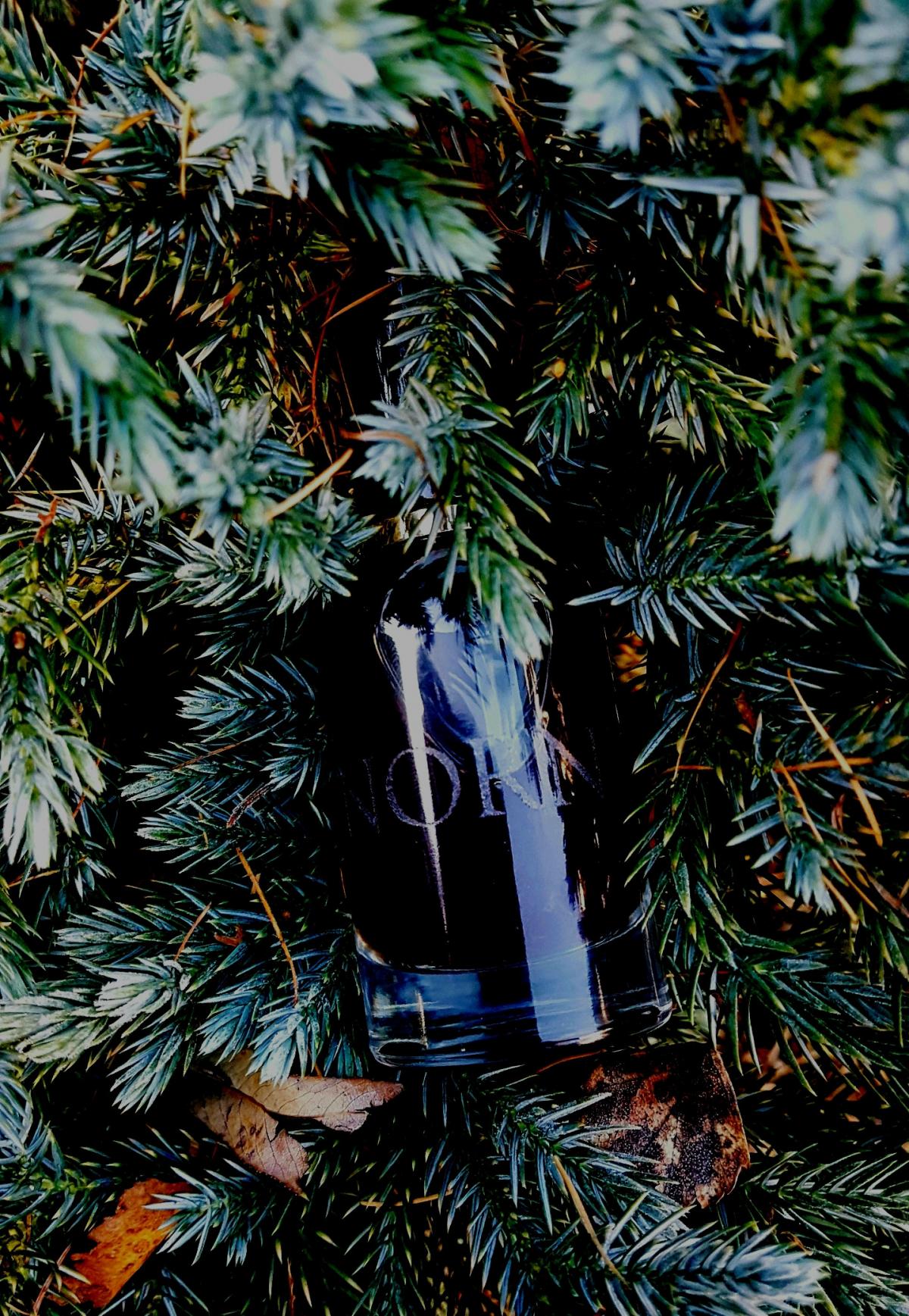 Norne Slumberhouse perfume - a fragrance for women and men 2012