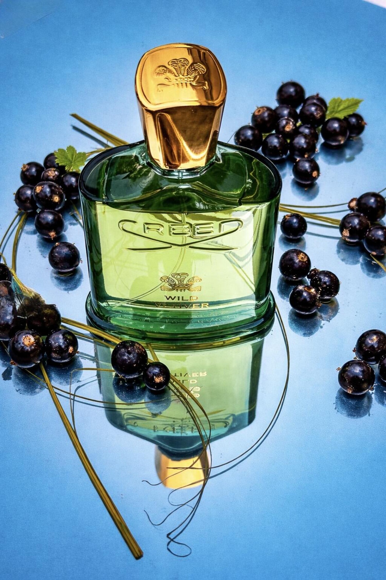 Wild Vetiver Creed perfume - a new fragrance for women and men 2026