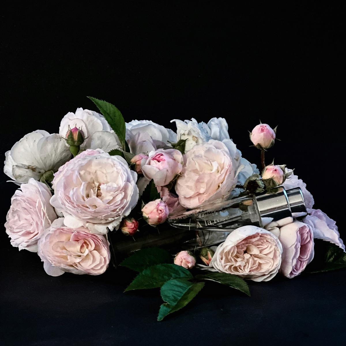 L'Homme À la Rose Maison Francis Kurkdjian cologne - a fragrance for ...