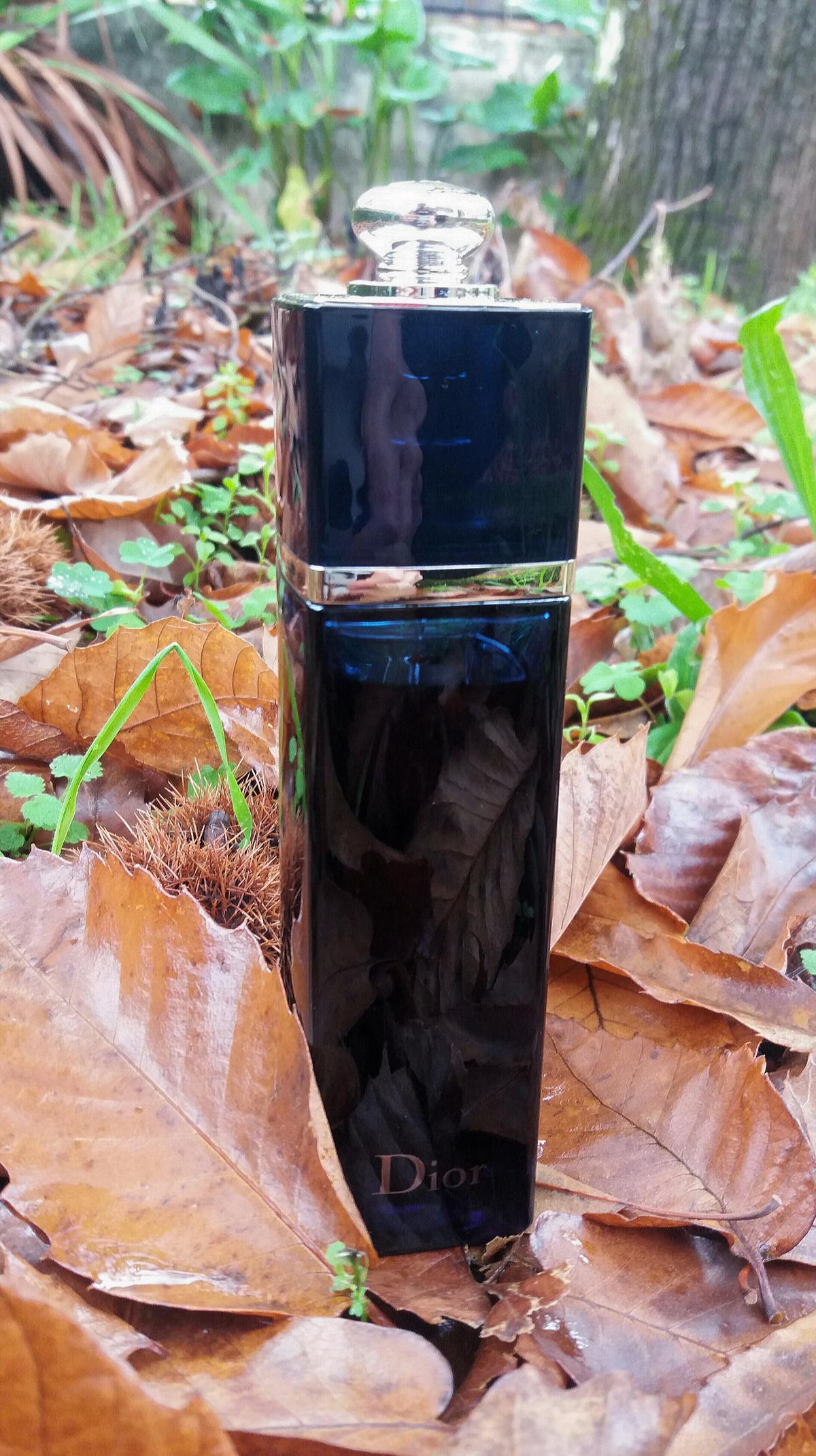 Dior Addict Dior perfume - a fragrance for women 2002