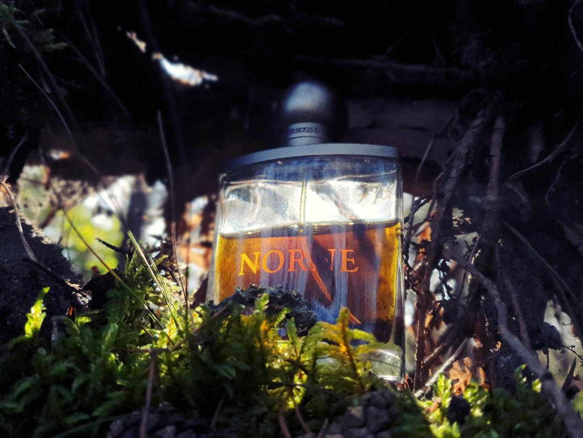 Norne Slumberhouse perfume - a fragrance for women and men 2012