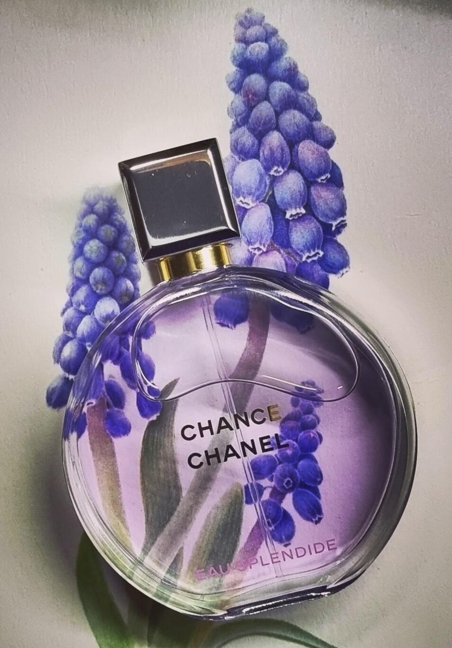 Chance Eau Splendide Chanel perfume - a new fragrance for women 2025