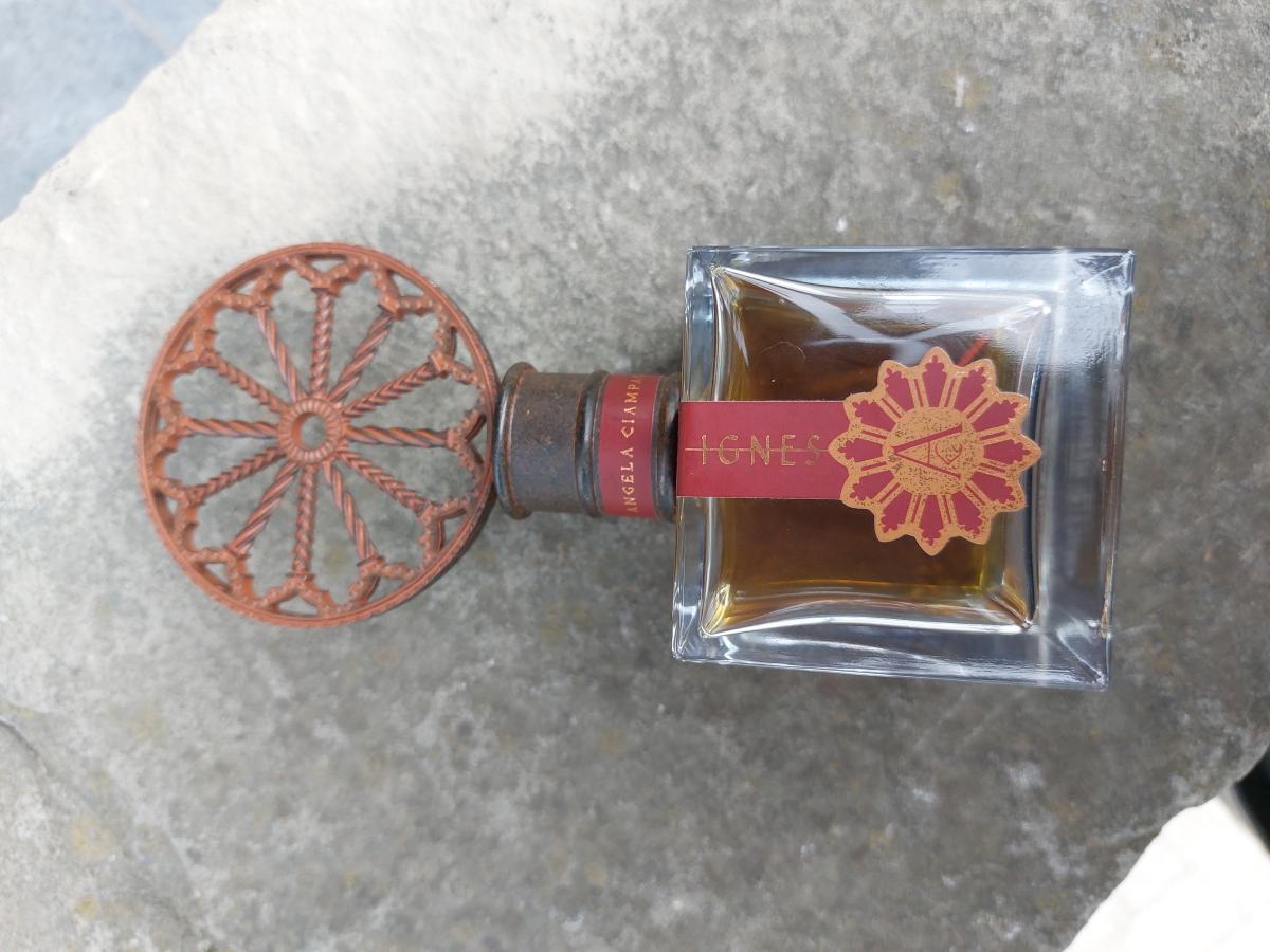 Ignes Angela Ciampagna perfume - a fragrance for women and men 2016