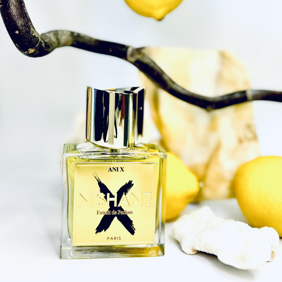 Ani X Nishane perfume - a fragrance for women and men 2023