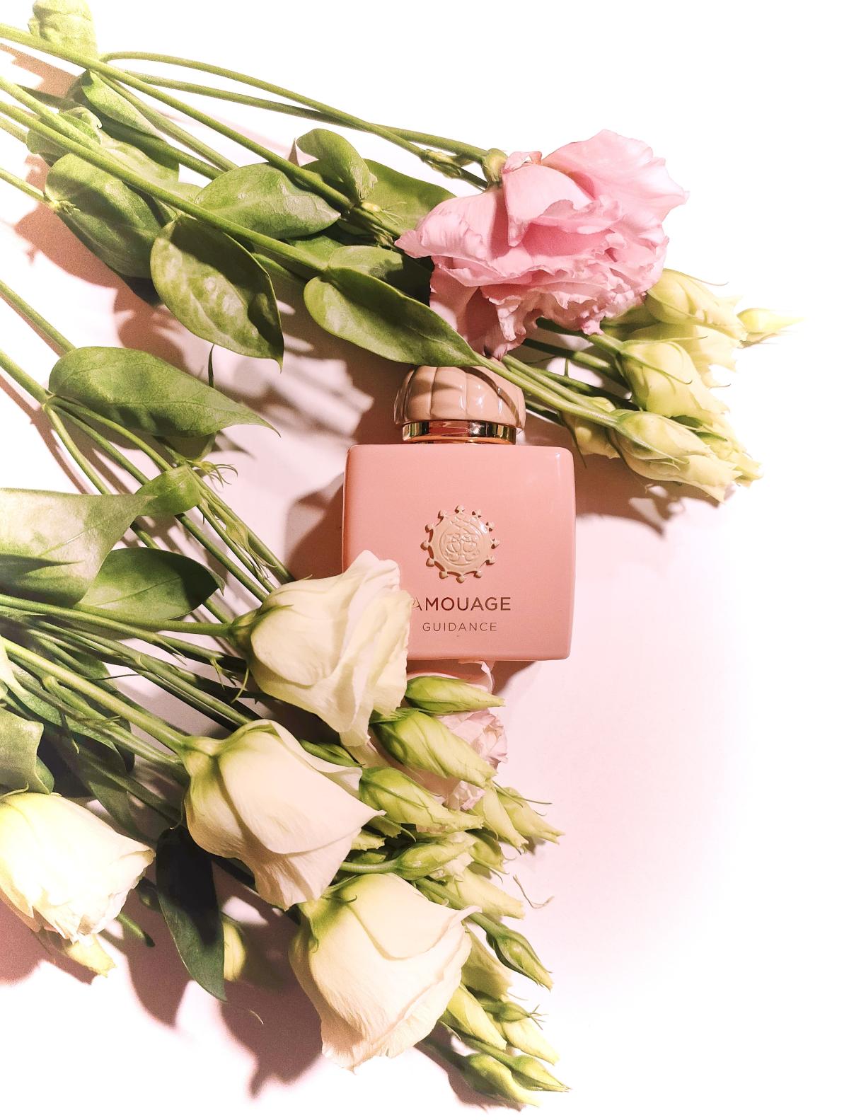 Guidance Amouage perfume - a new fragrance for women and men 2023