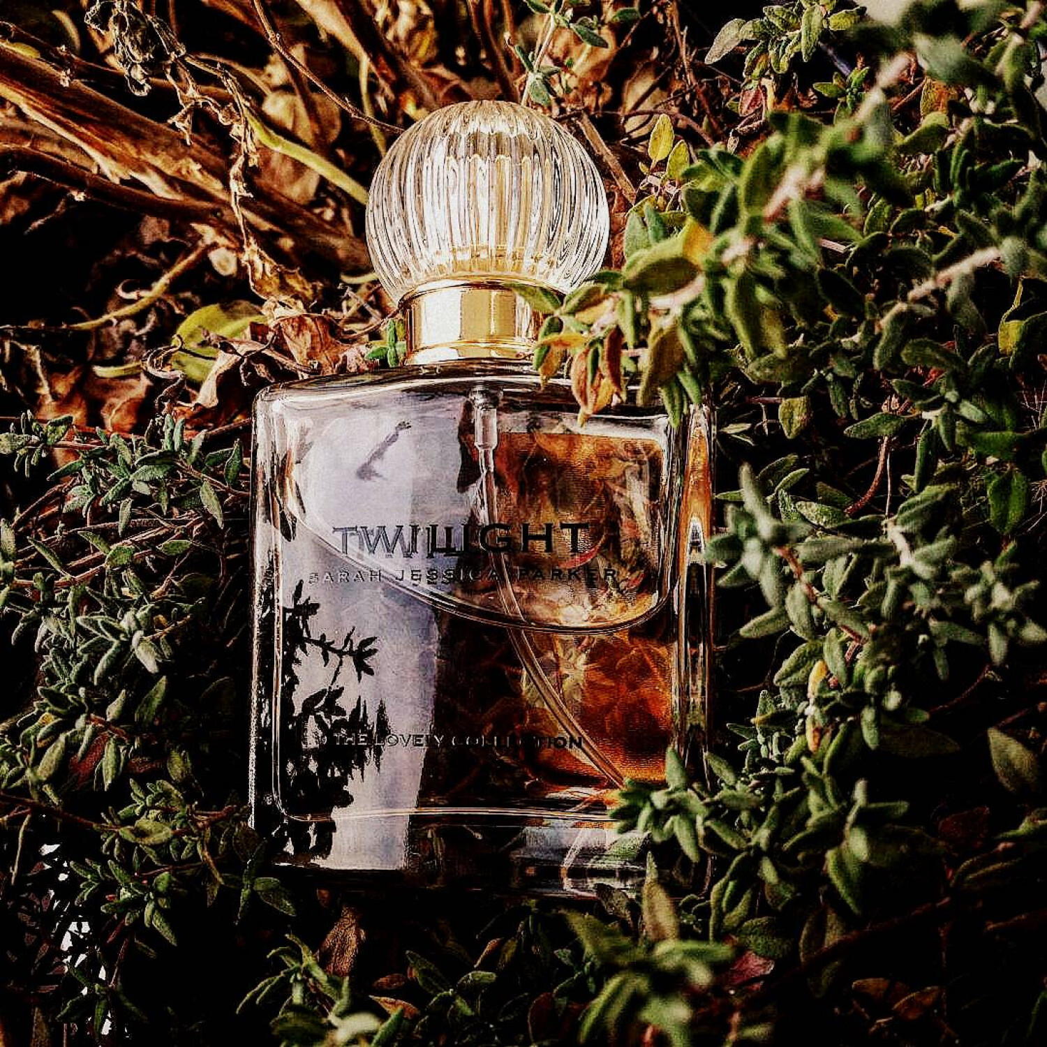 Twilight Sarah Jessica Parker perfume - a fragrance for women 2009