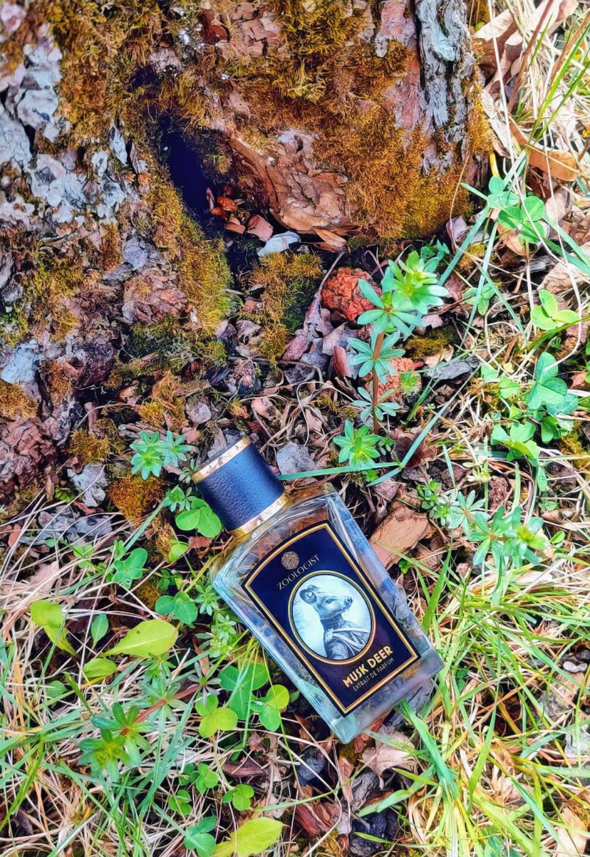 Musk Deer Zoologist Perfumes عطر - a fragrance للجنسين 2020