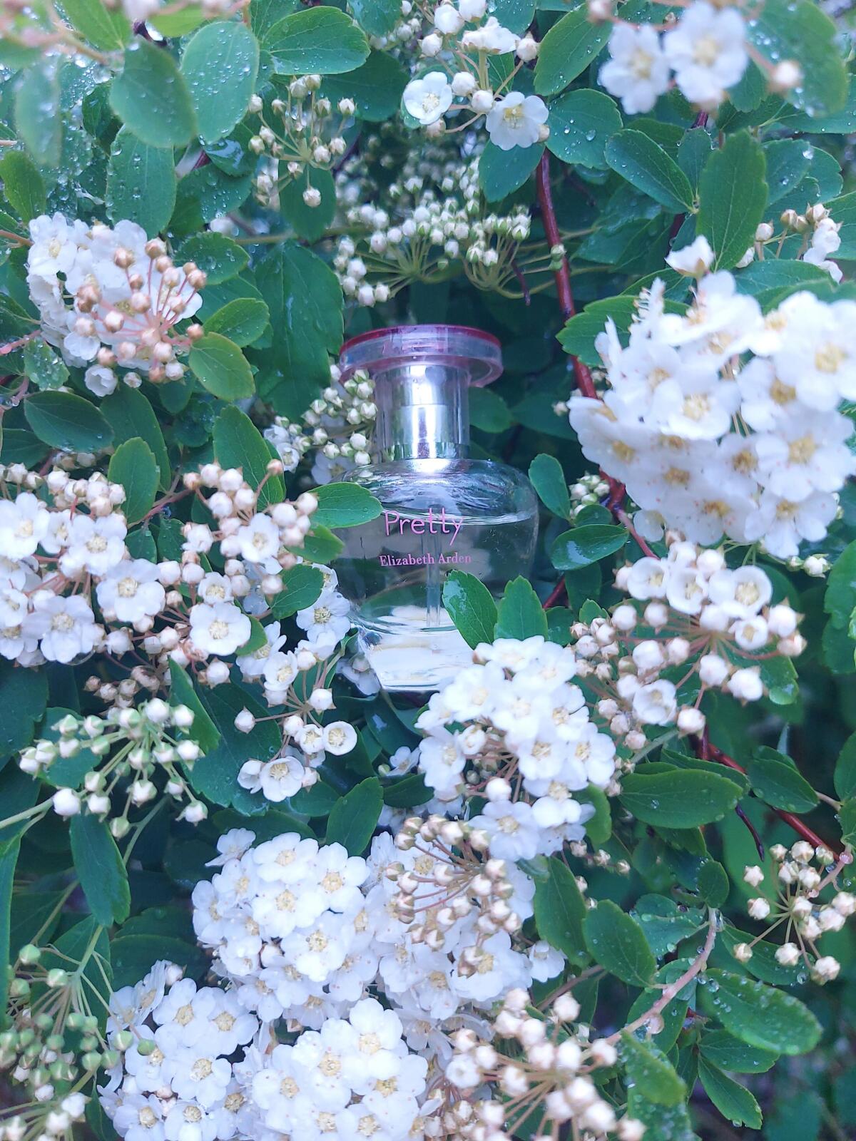 Pretty Elizabeth Arden fragancia - una fragancia para Mujeres 2009