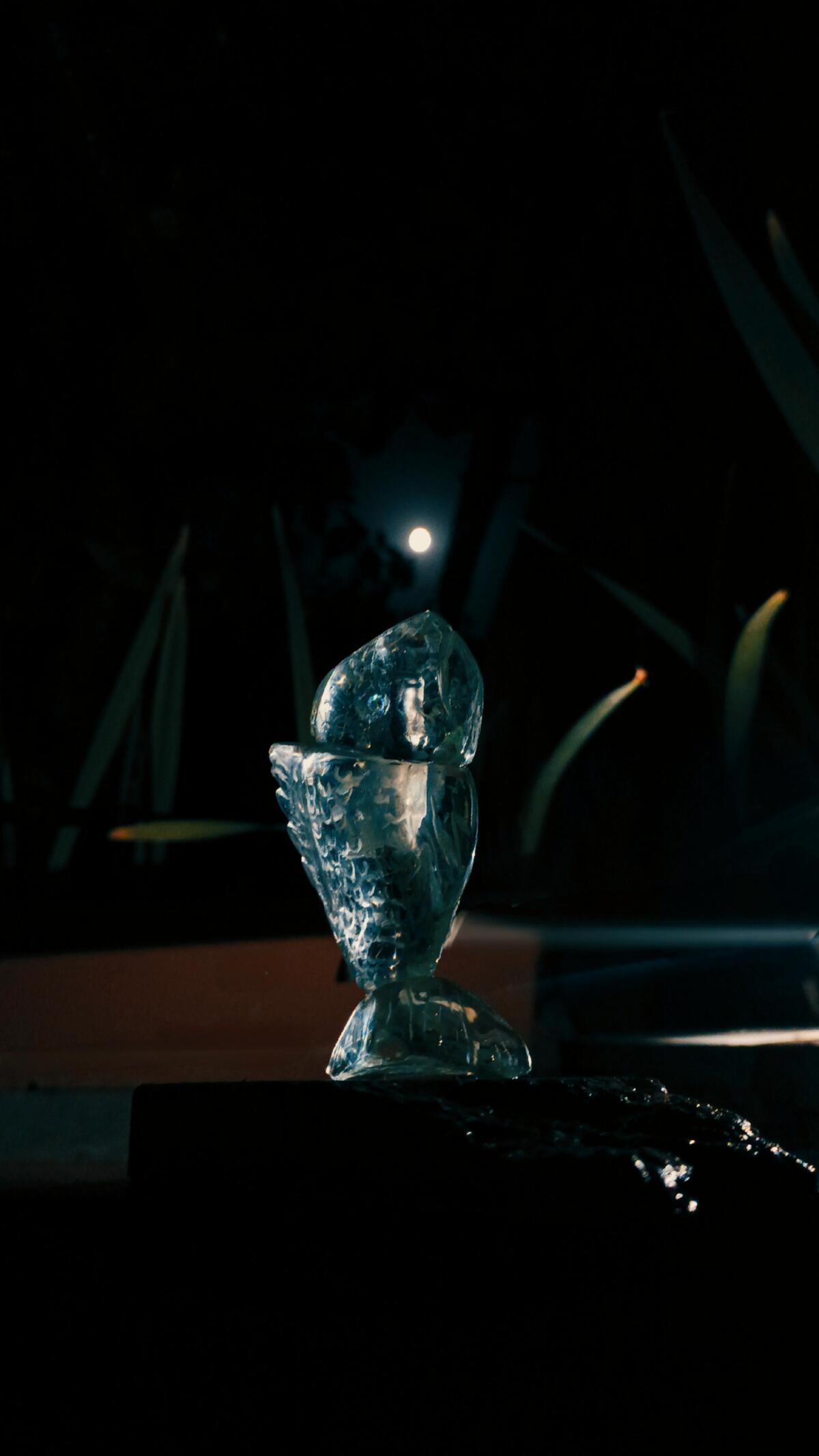 He Is Fish House of Atropa perfume - a novo fragrância Compartilhável 2024