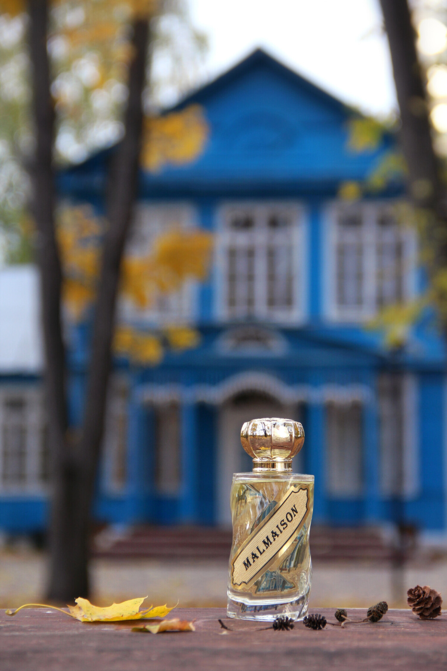 Malmaison 12 Parfumeurs Francais perfume - a fragrance for women and ...