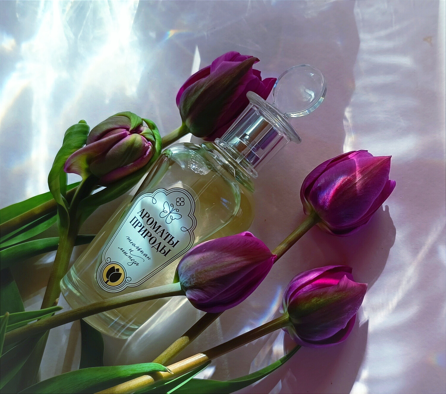 Тюльпан и мимоза - Tulip and Mimosa Brocard عطر - a fragrance للنساء 2018