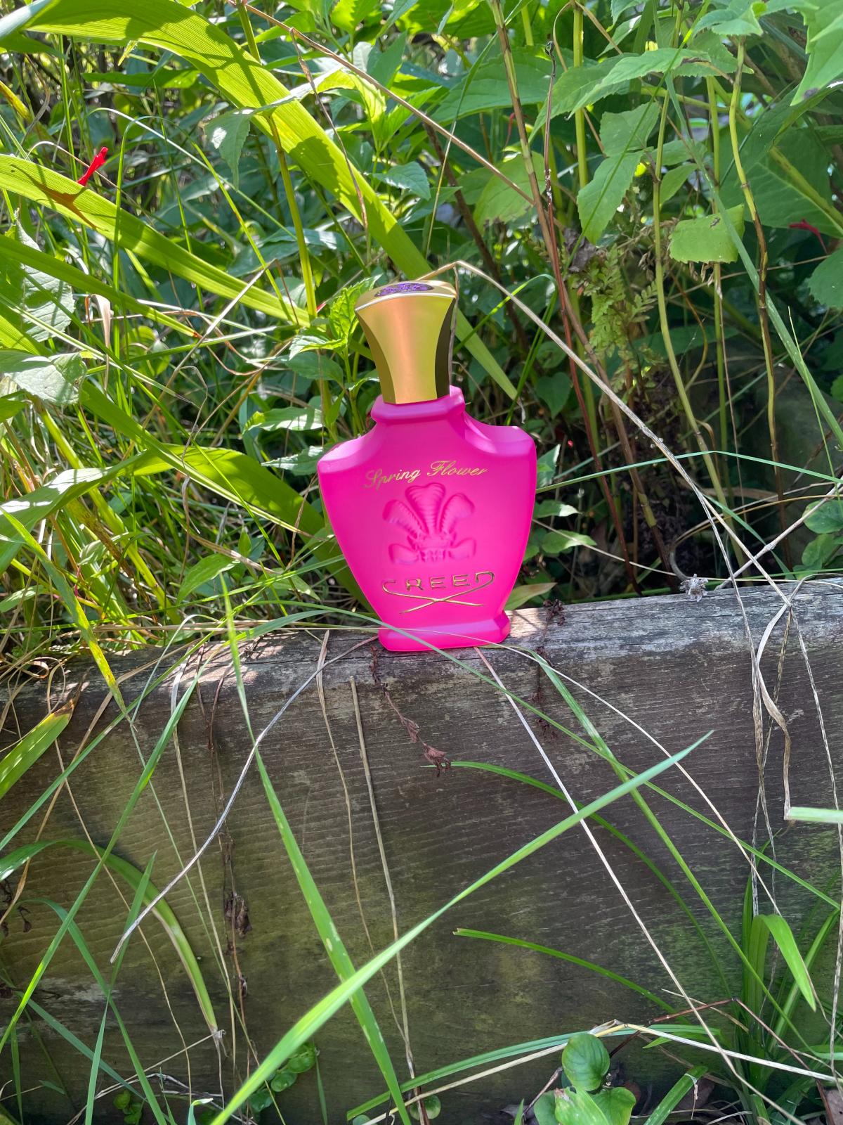 Spring Flower Creed perfume - a fragrance for women 1996