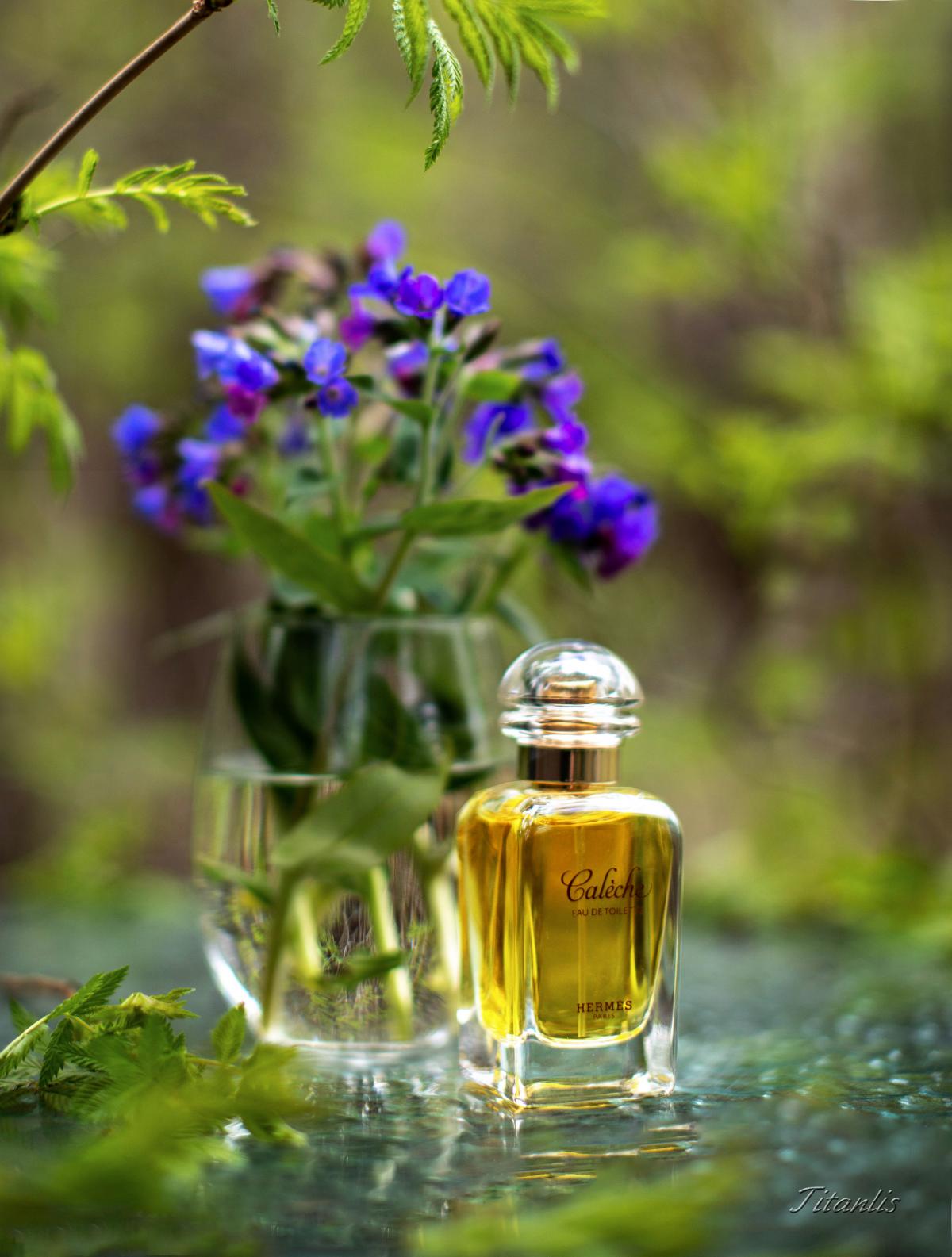 Caleche Hermès perfume - a fragrance for women 1961