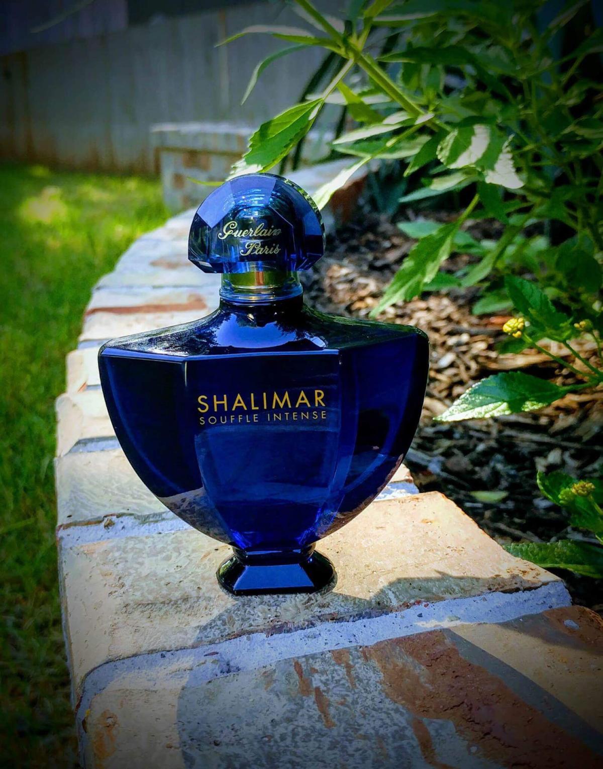 Shalimar Souffle Intense Guerlain perfume - a fragrance for women 2017