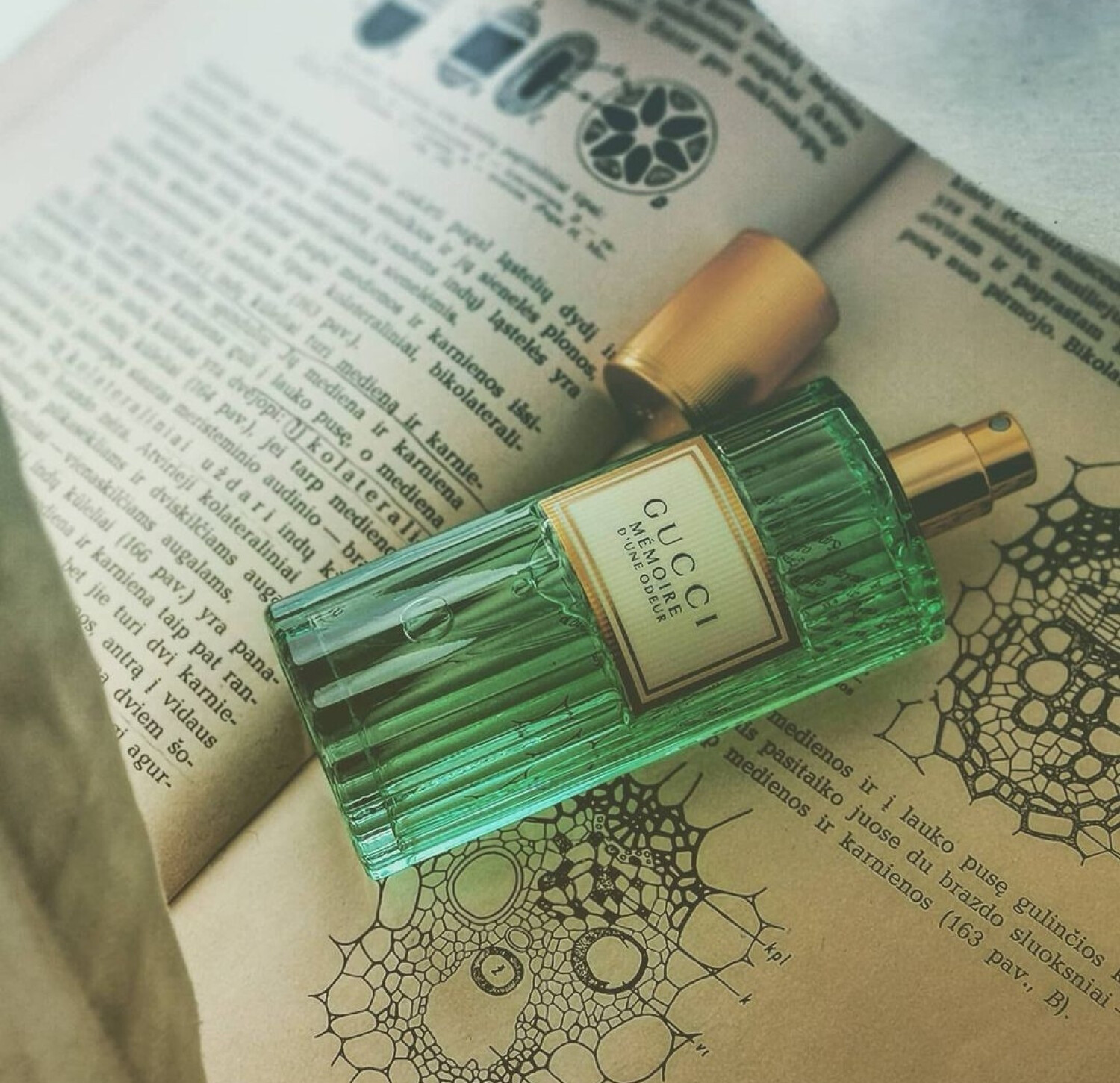 Mémoire d’une Odeur Gucci perfume - a fragrance for women and men 2019