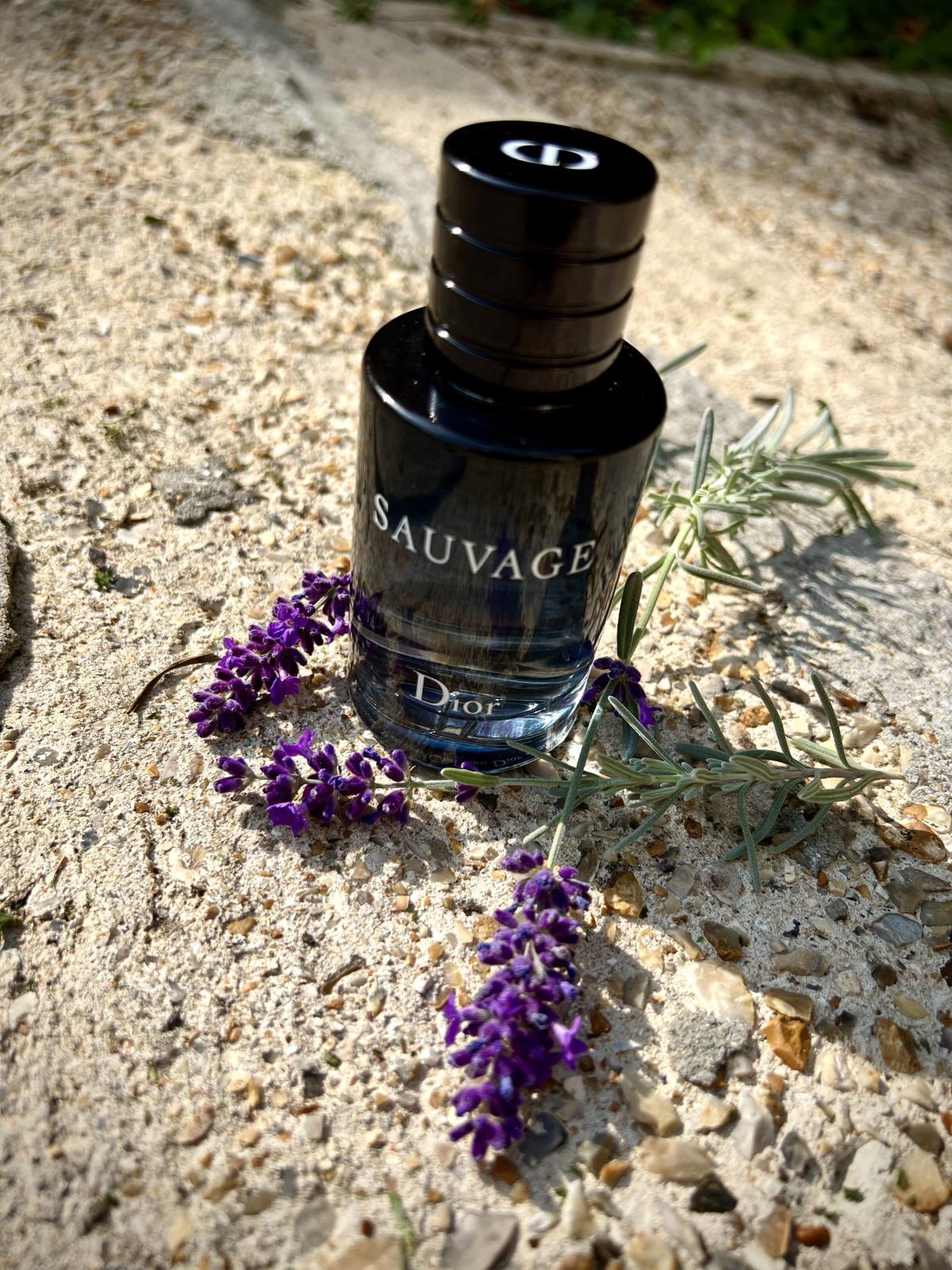 Sauvage Dior cologne - a fragrance for men 2015