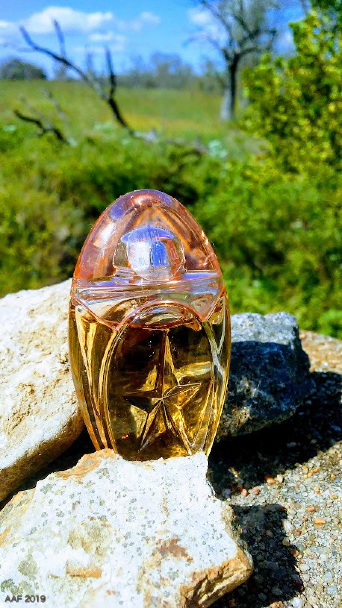 Angel Muse Mugler perfume - a fragrance for women 2016