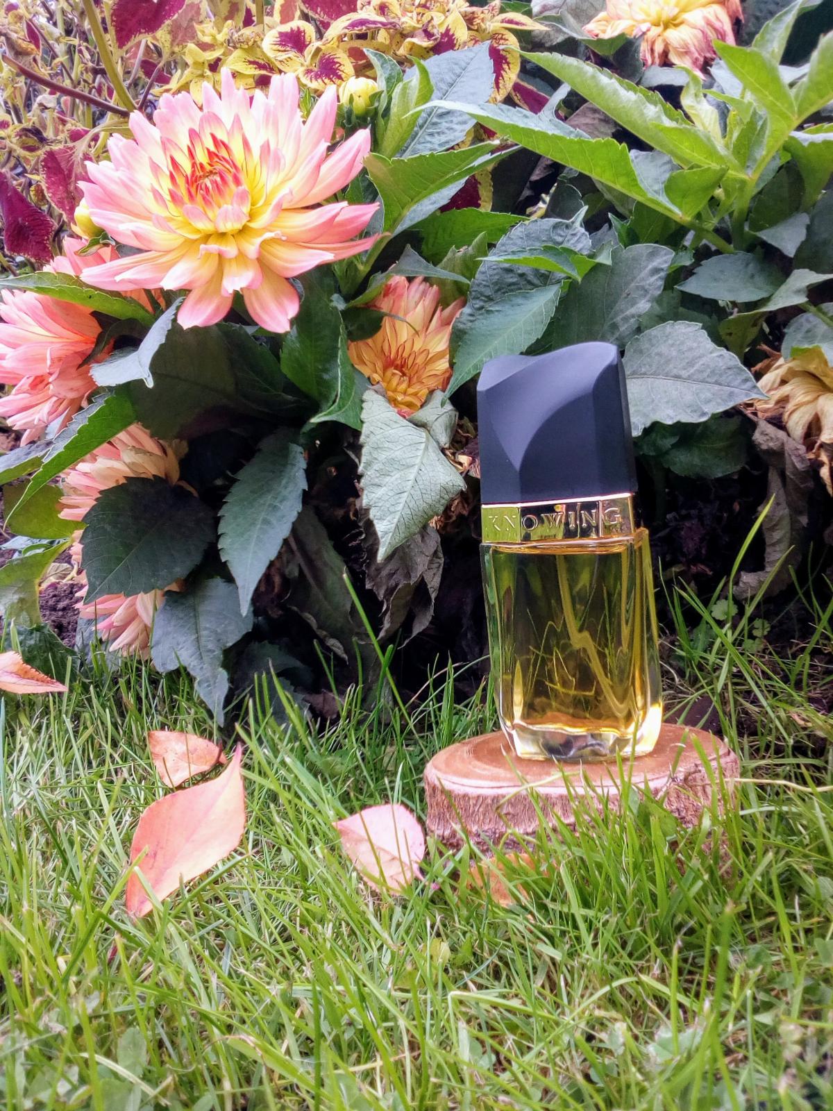 Knowing Estée Lauder perfume - a fragrance for women 1988