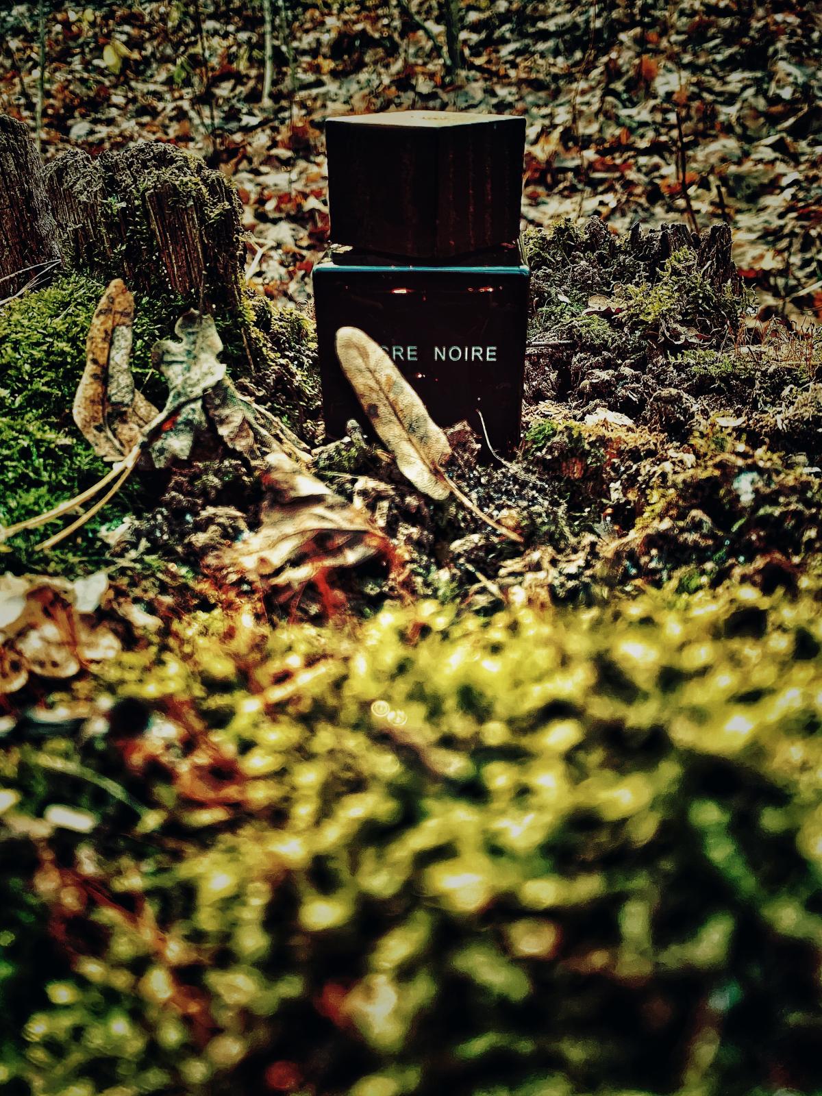 Encre Noire Lalique cologne - a fragrance for men 2006