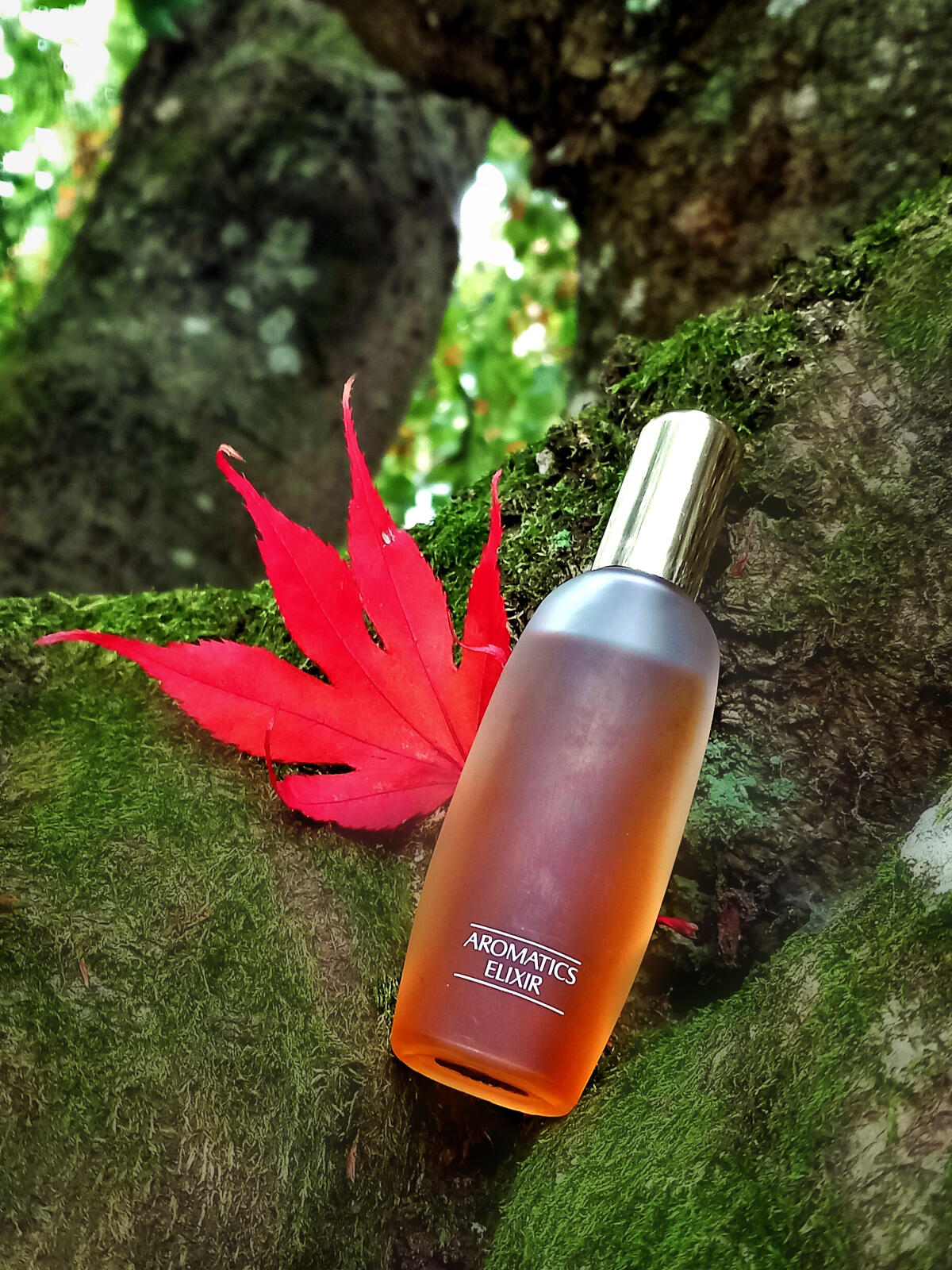 Aromatics Elixir Clinique άρωμα - ένα άρωμα για γυναίκες 1971