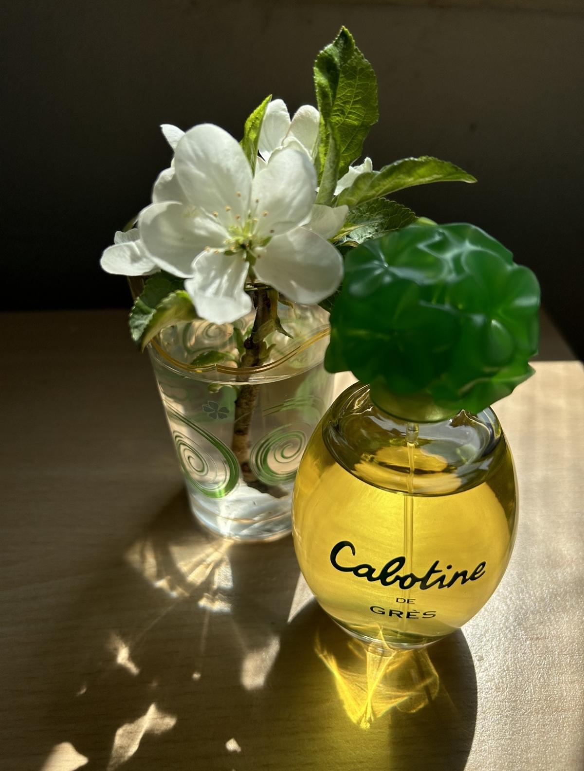 Cabotine Grès perfume - a fragrance for women 1990