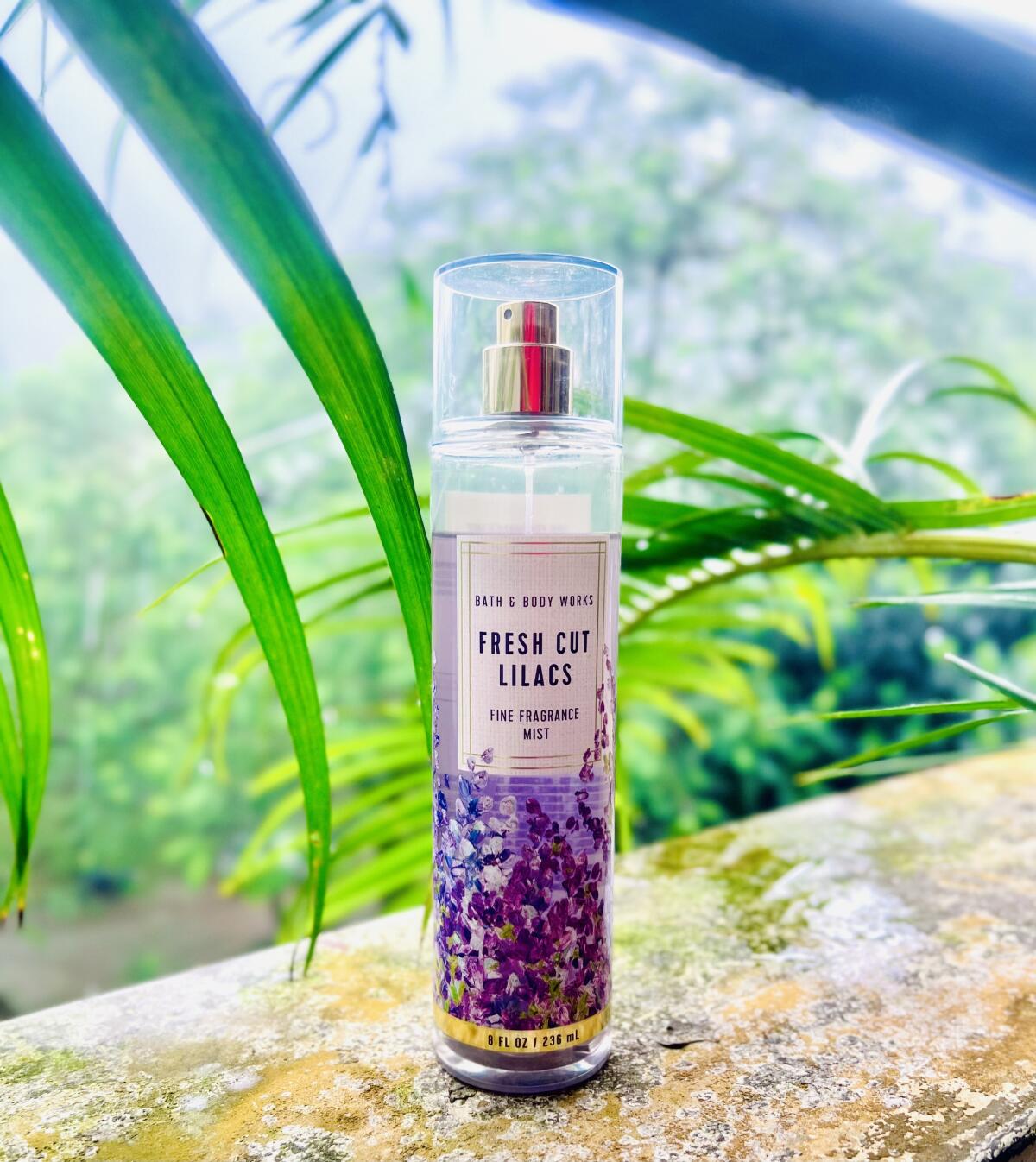 Fresh Cut Lilacs Bath & Body Works parfum - un parfum pour femme 2019