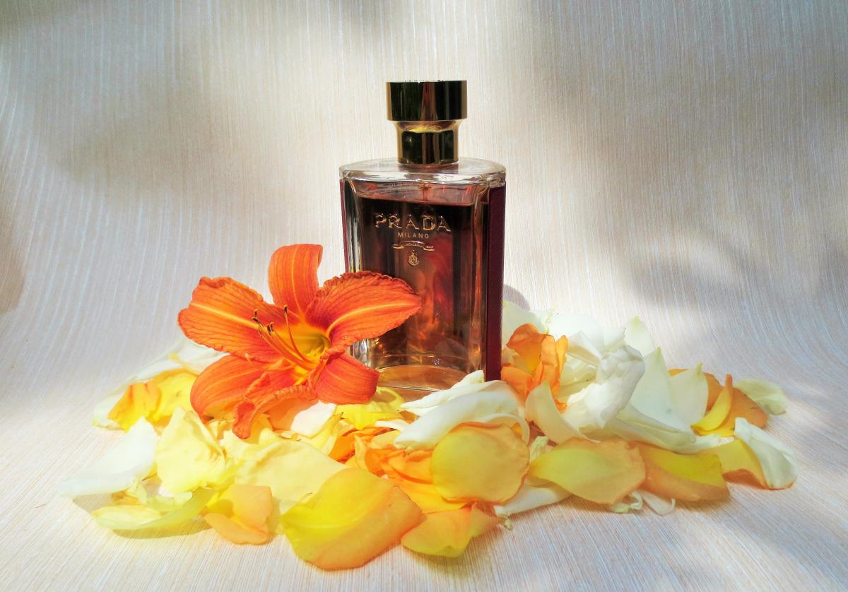 Prada La Femme Intense Prada perfume - a fragrance for women 2017