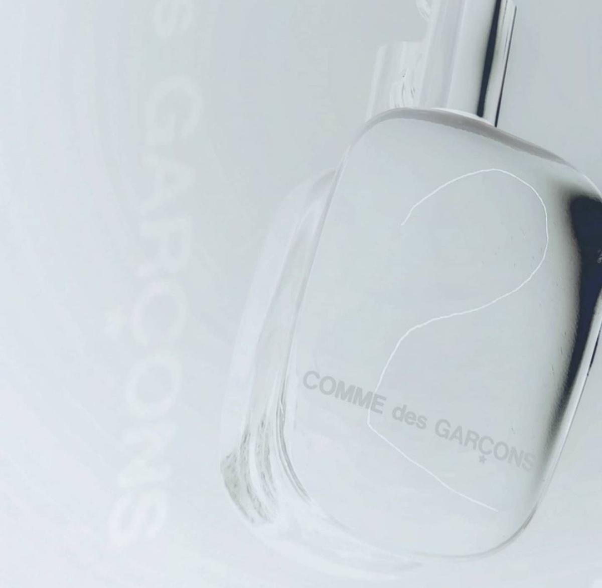 Comme des Garcons 2 Comme des Garcons perfume - a fragrance for women ...