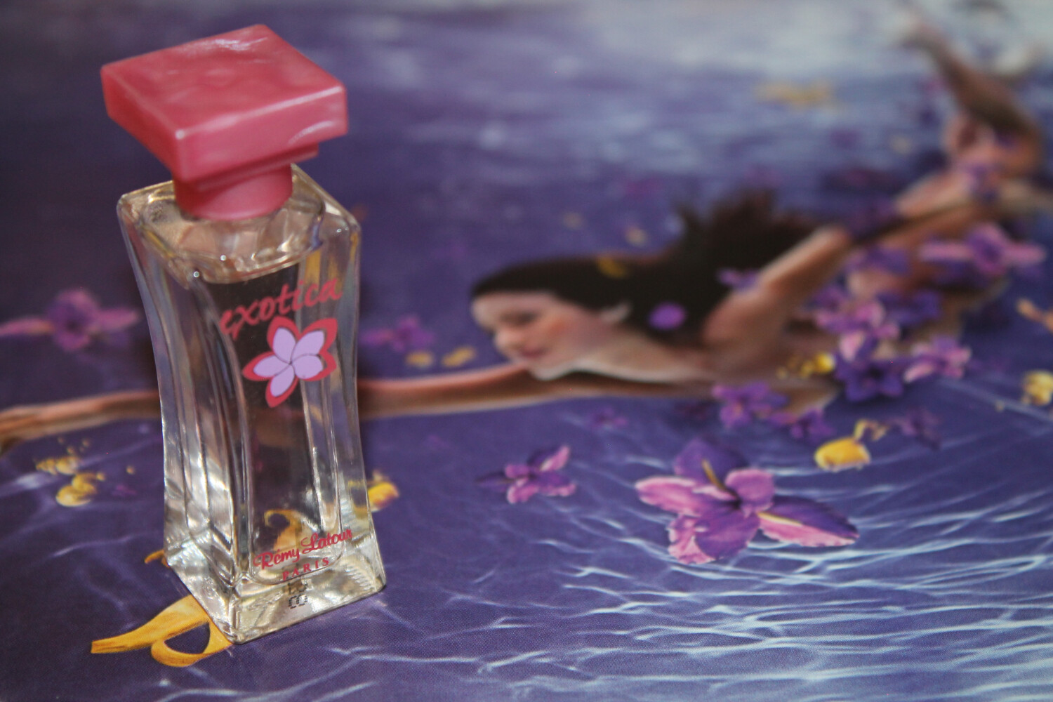 Exotica Rémy Latour perfume - a fragrance for women