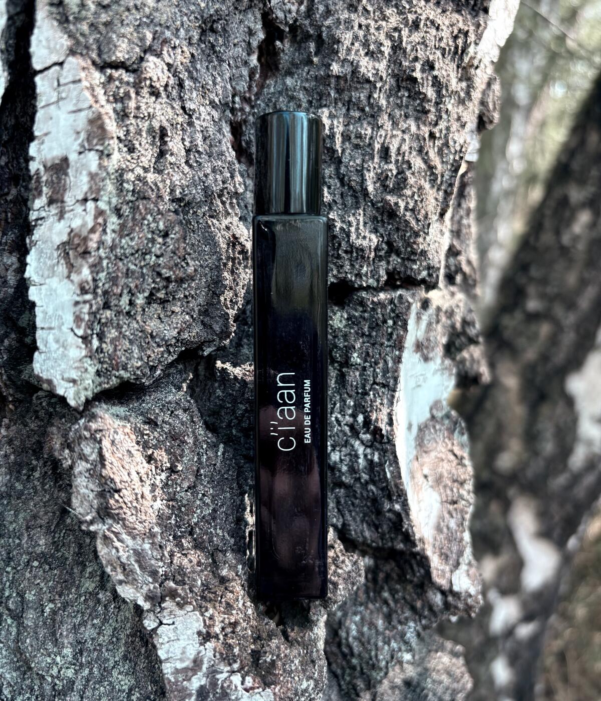 c’i’aan source adage fragrances perfume - a fragrance for women and men ...