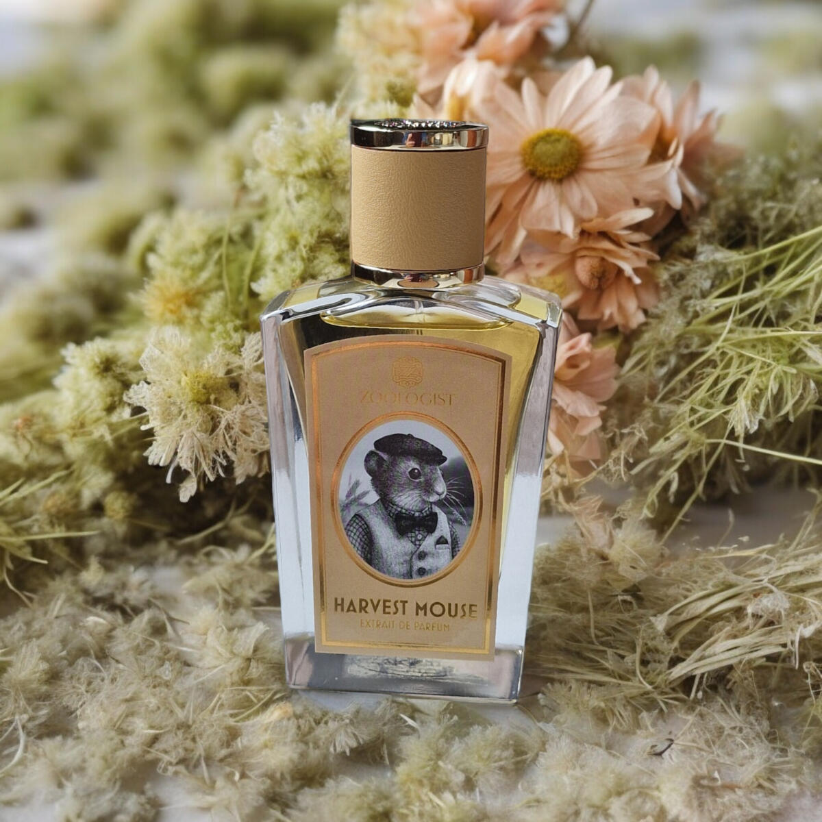 Harvest Mouse Zoologist Perfumes parfum - un nouveau parfum pour homme ...