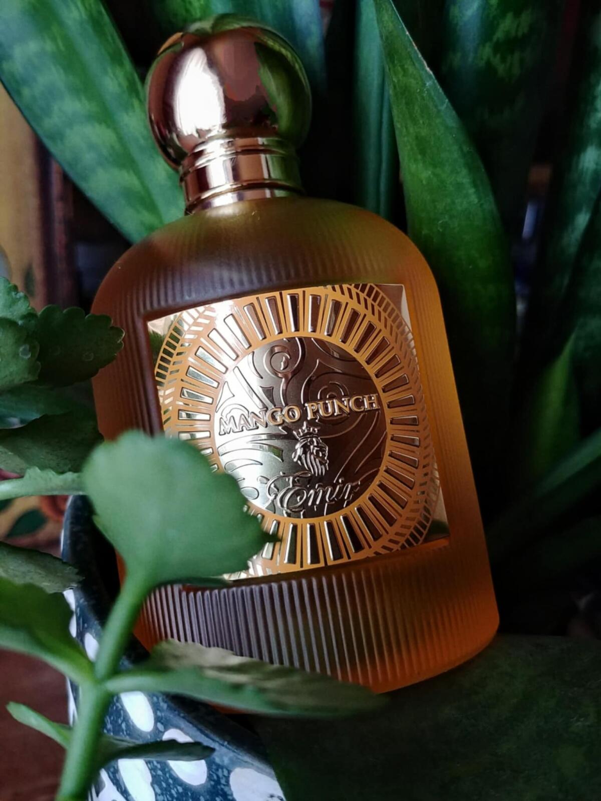 Mango Punch PARIS CORNER perfume - a new fragrance for women and men 2025