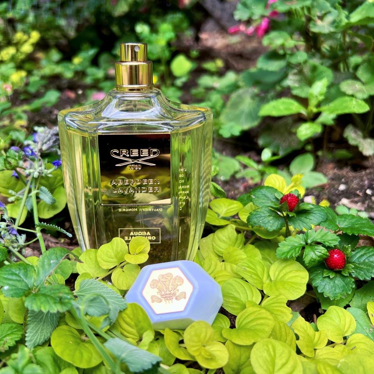 Aberdeen Lavender Creed perfume - a fragrance for women and men 2014