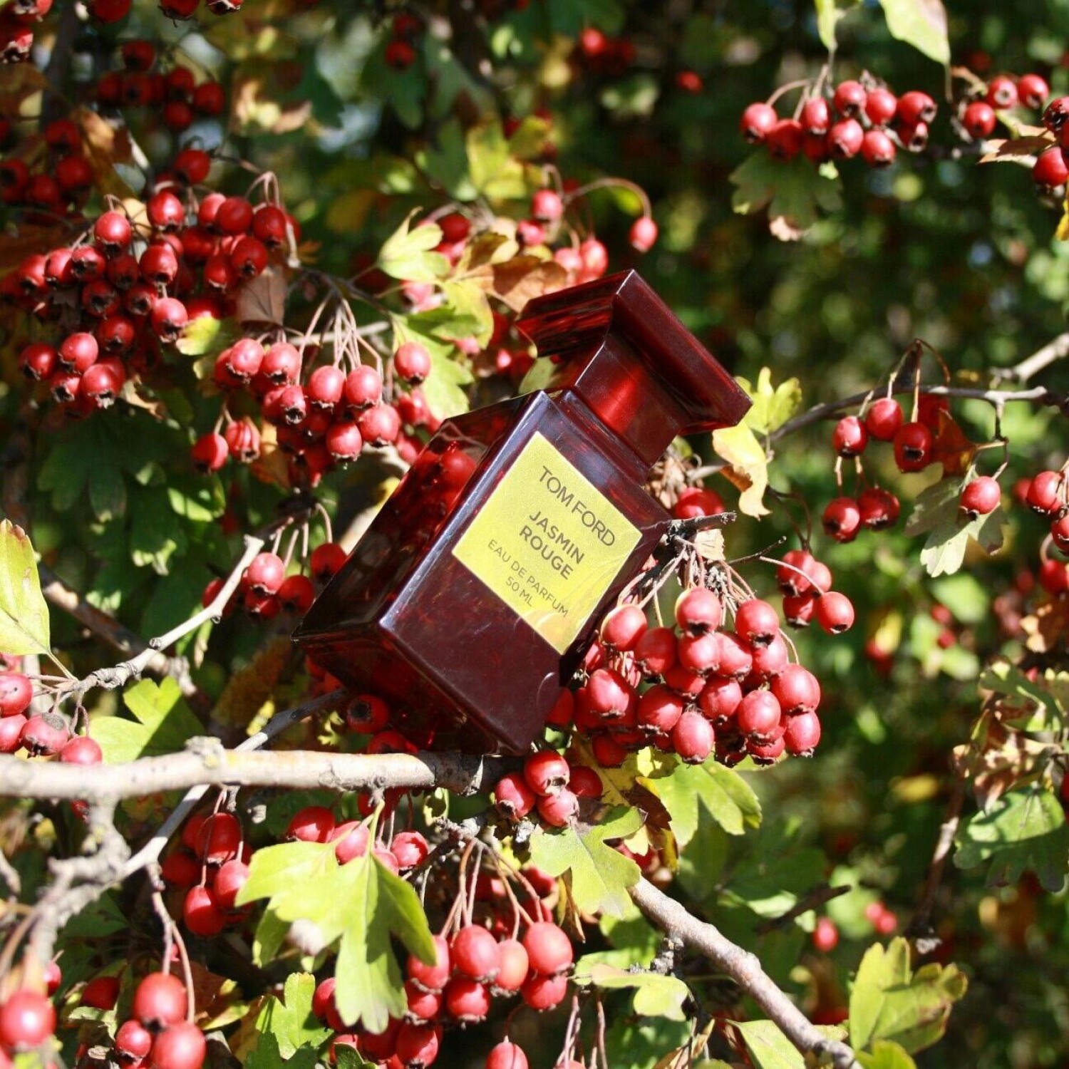 Jasmin Rouge Tom Ford perfume - a fragrance for women 2011