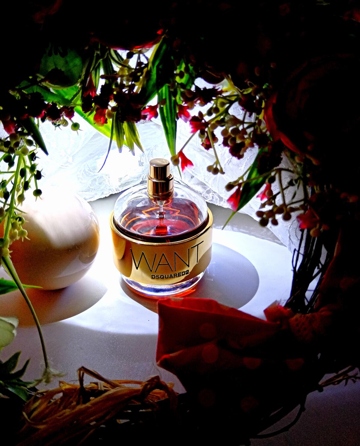 Want DSQUARED² perfume - a fragrance for women 2015