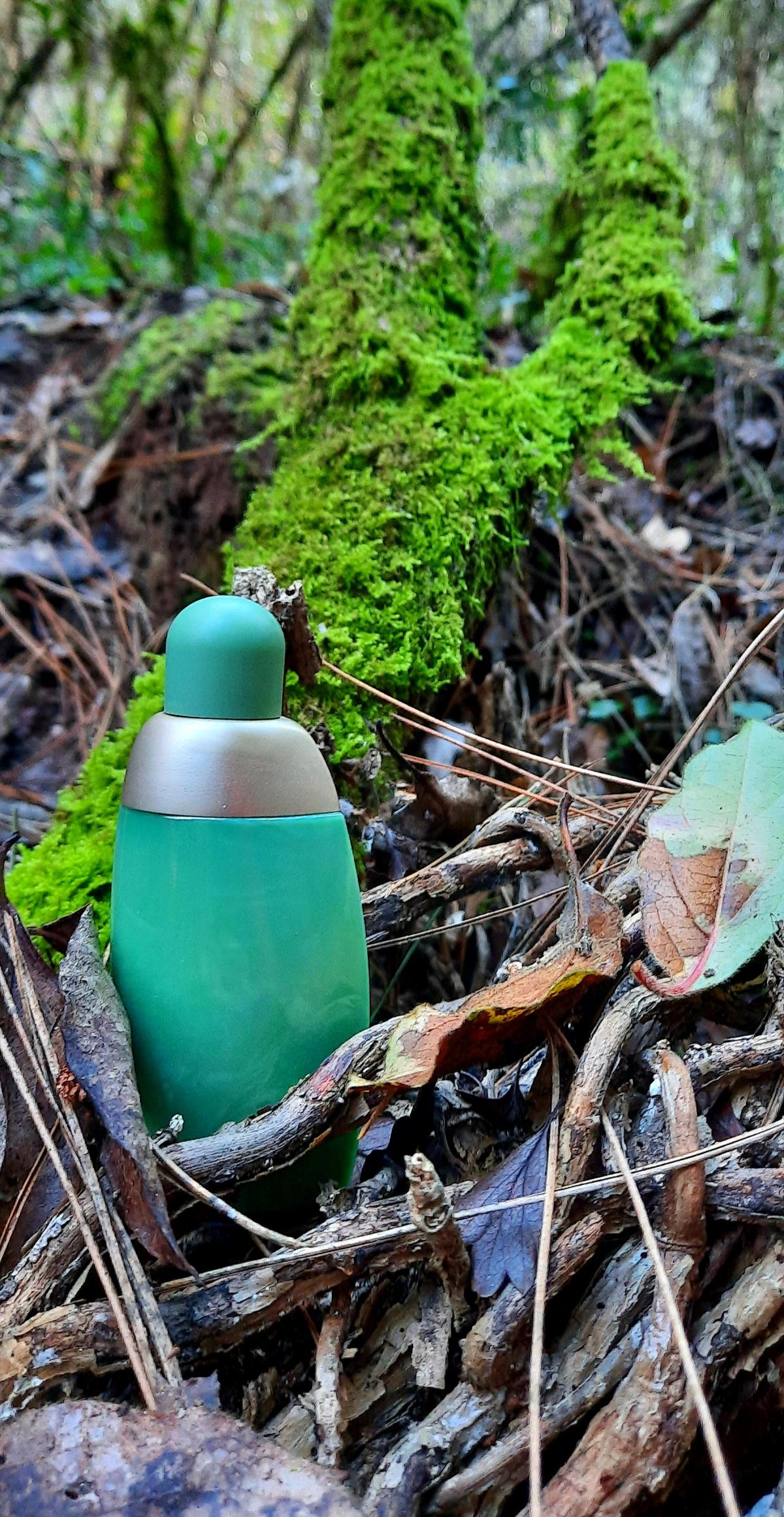 Eden Cacharel perfume - a fragrance for women 1994