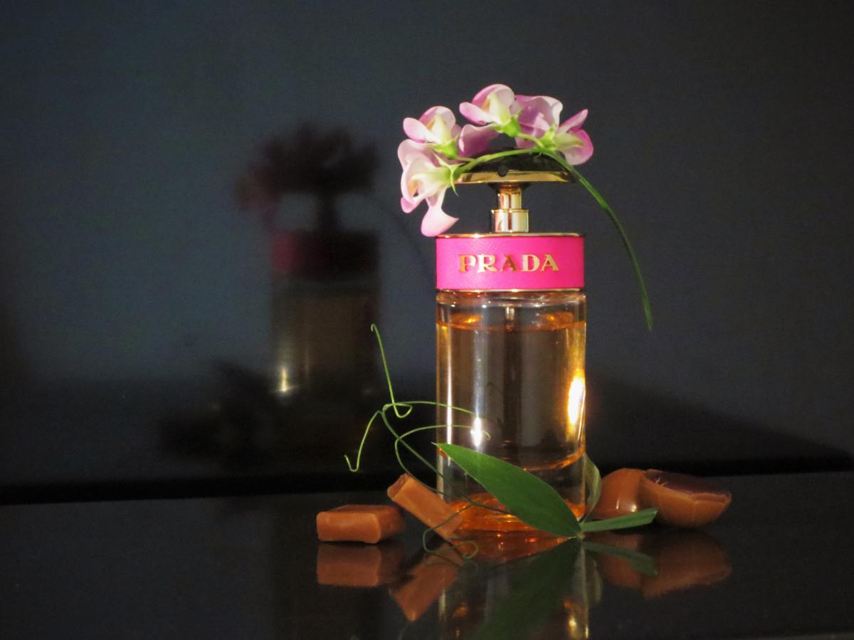 Prada Candy Prada perfume - a fragrance for women 2011