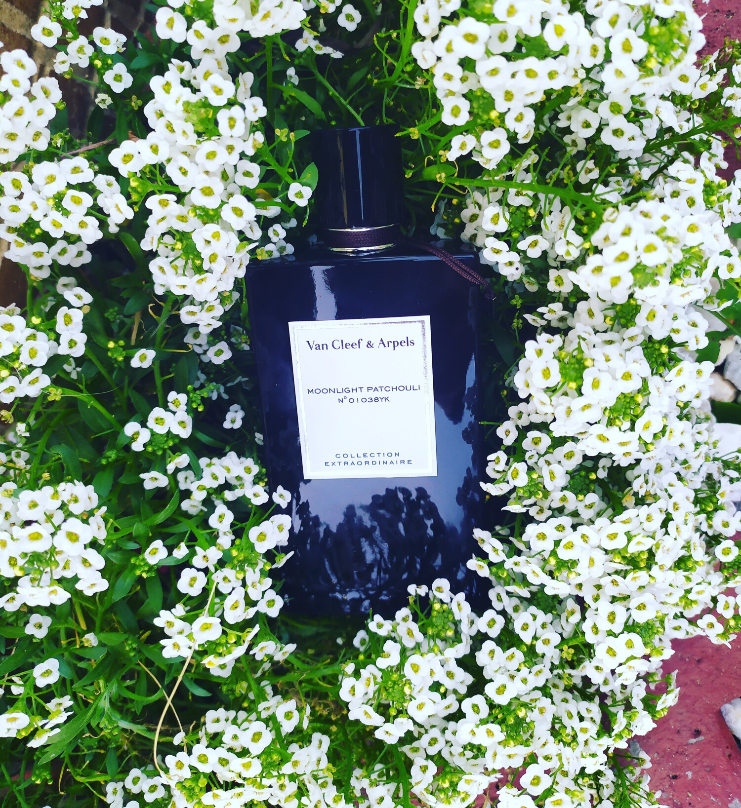 Moonlight Patchouli Van Cleef & Arpels perfume - a fragrance for women ...