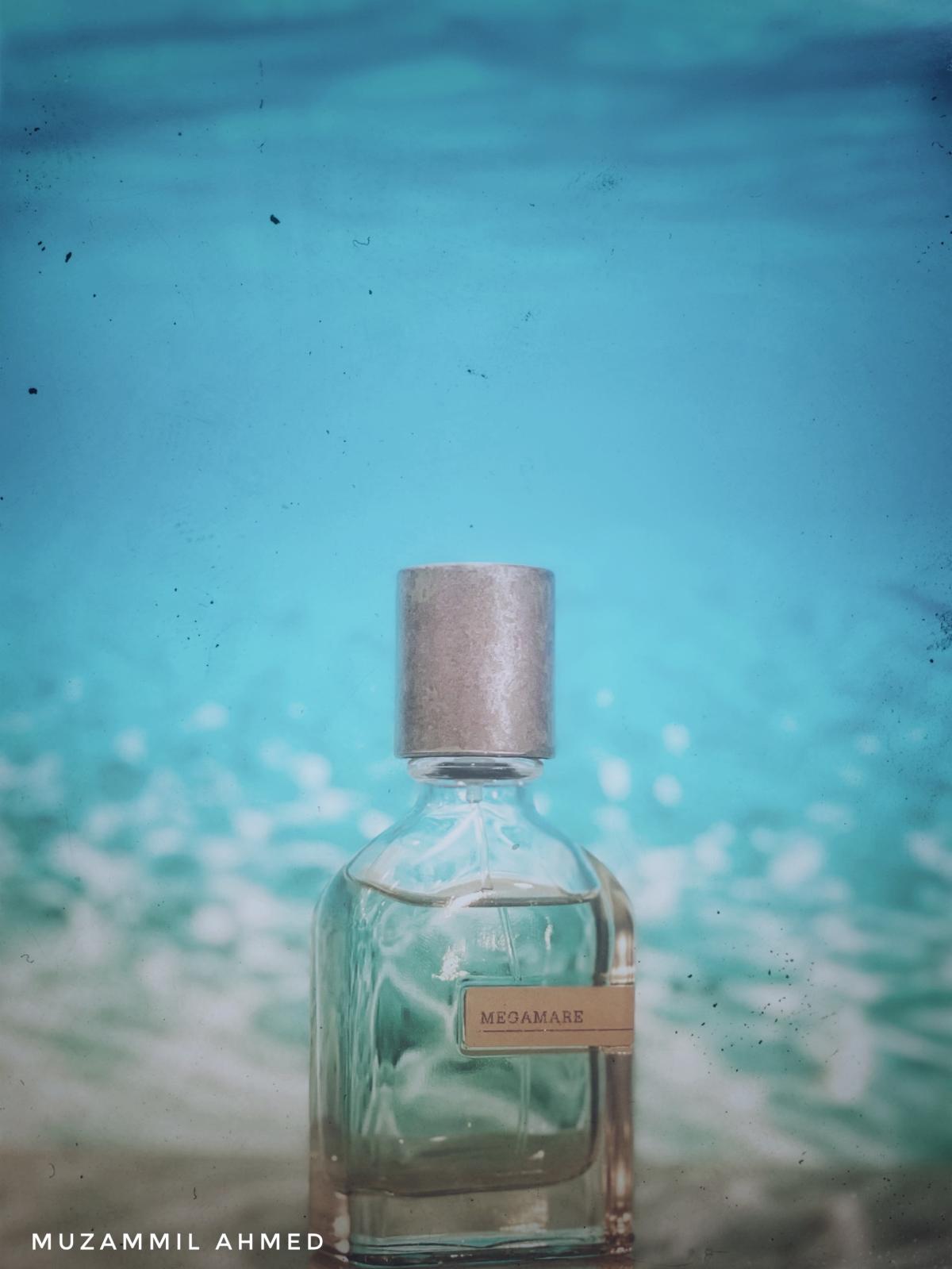 Megamare Orto Parisi perfume - a fragrance for women and men 2019