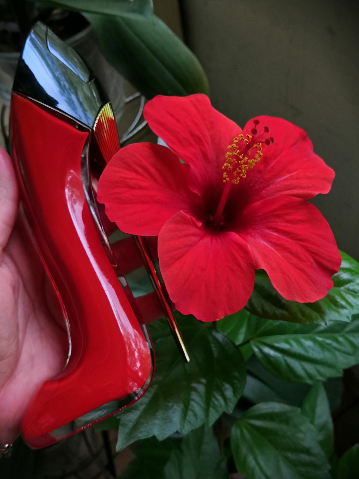 Very Good Girl Carolina Herrera perfume - a new fragrance for women 2021