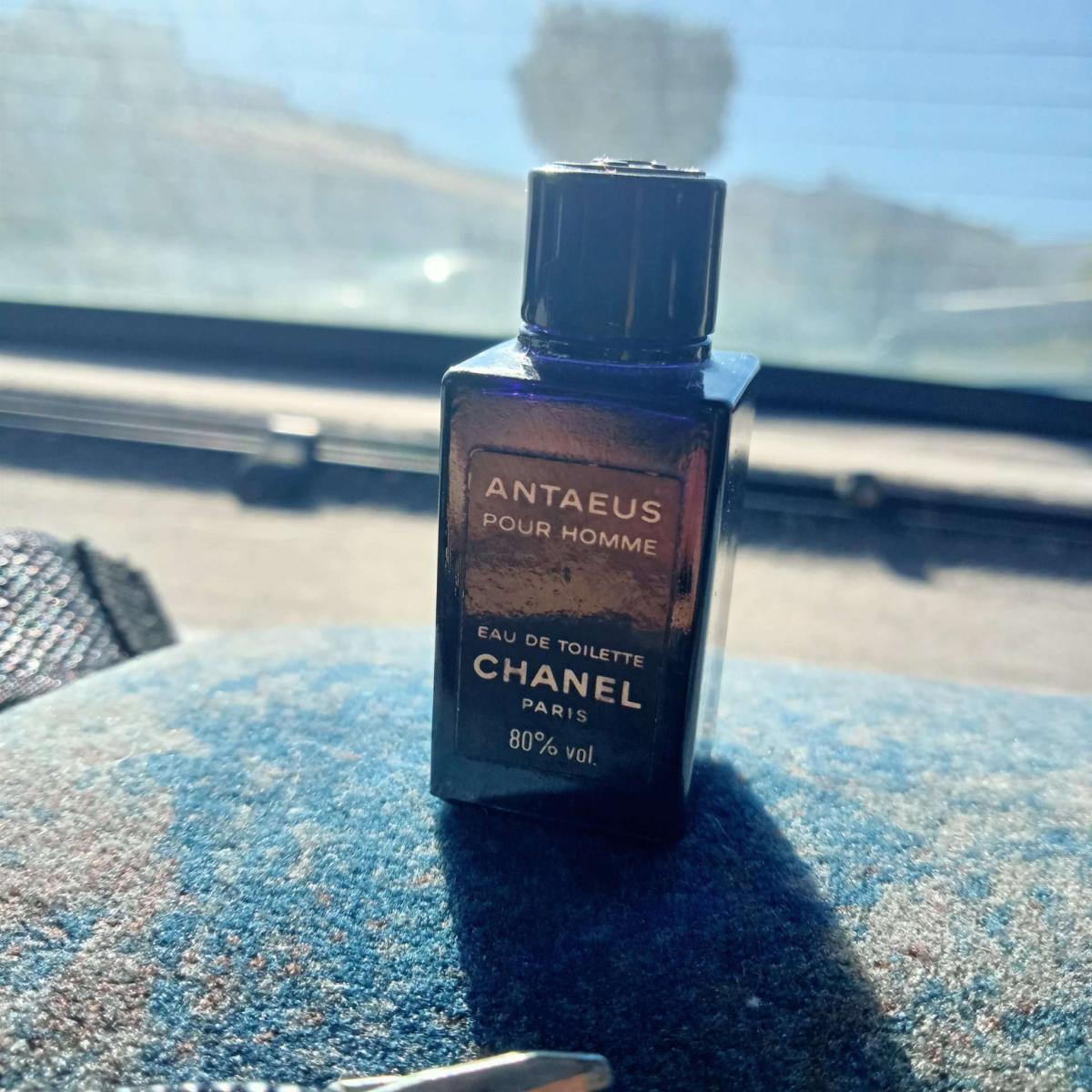 Antaeus Chanel cologne - a fragrance for men 1981