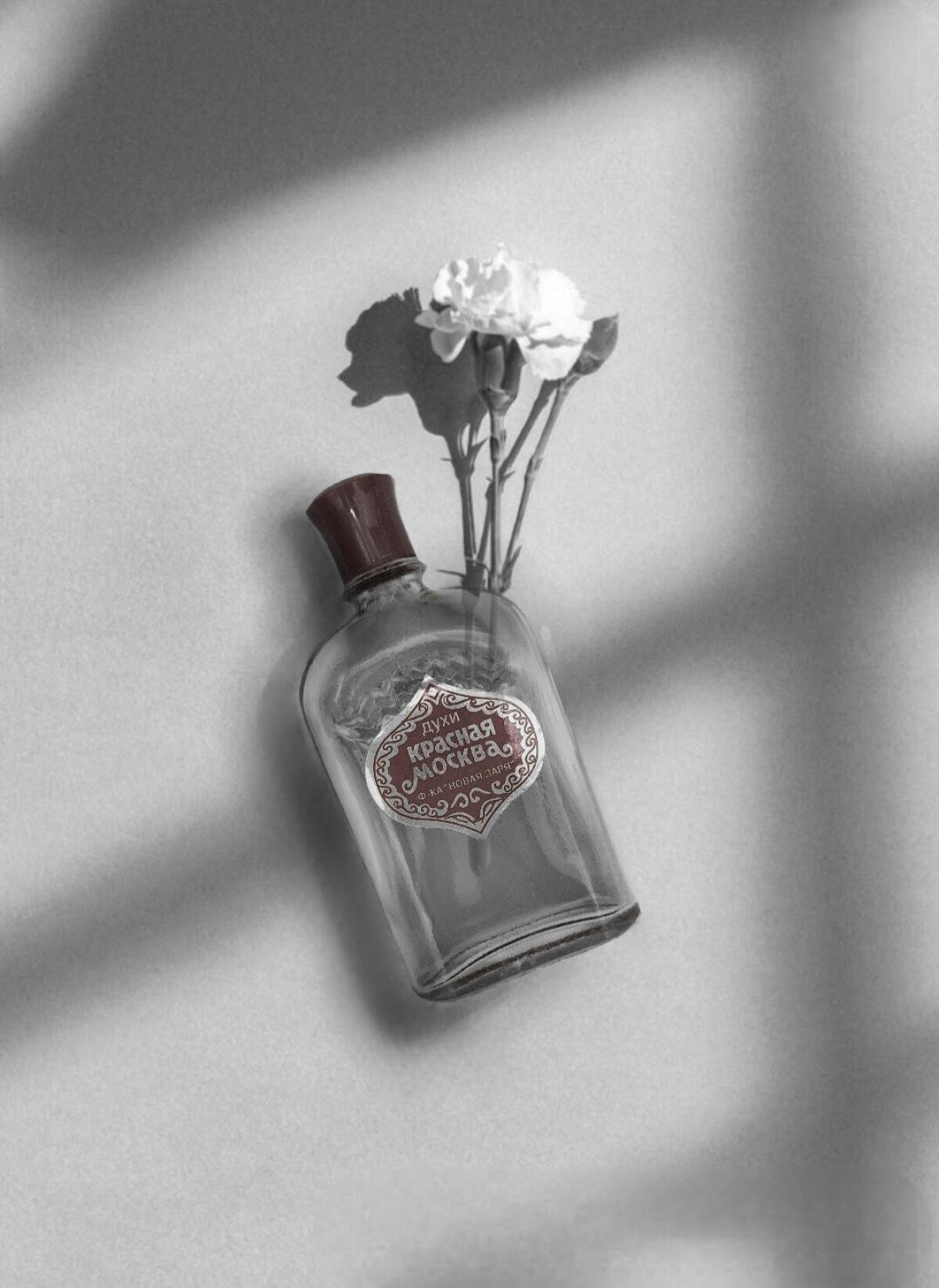 Красная Москва (Red Moscow) Новая Заря (The New Dawn) perfume - a ...