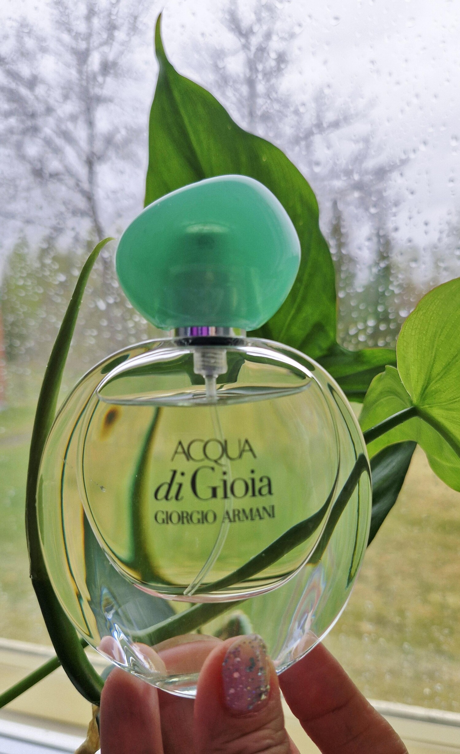 Acqua di Gioia Giorgio Armani perfume - a fragrância Feminino 2010