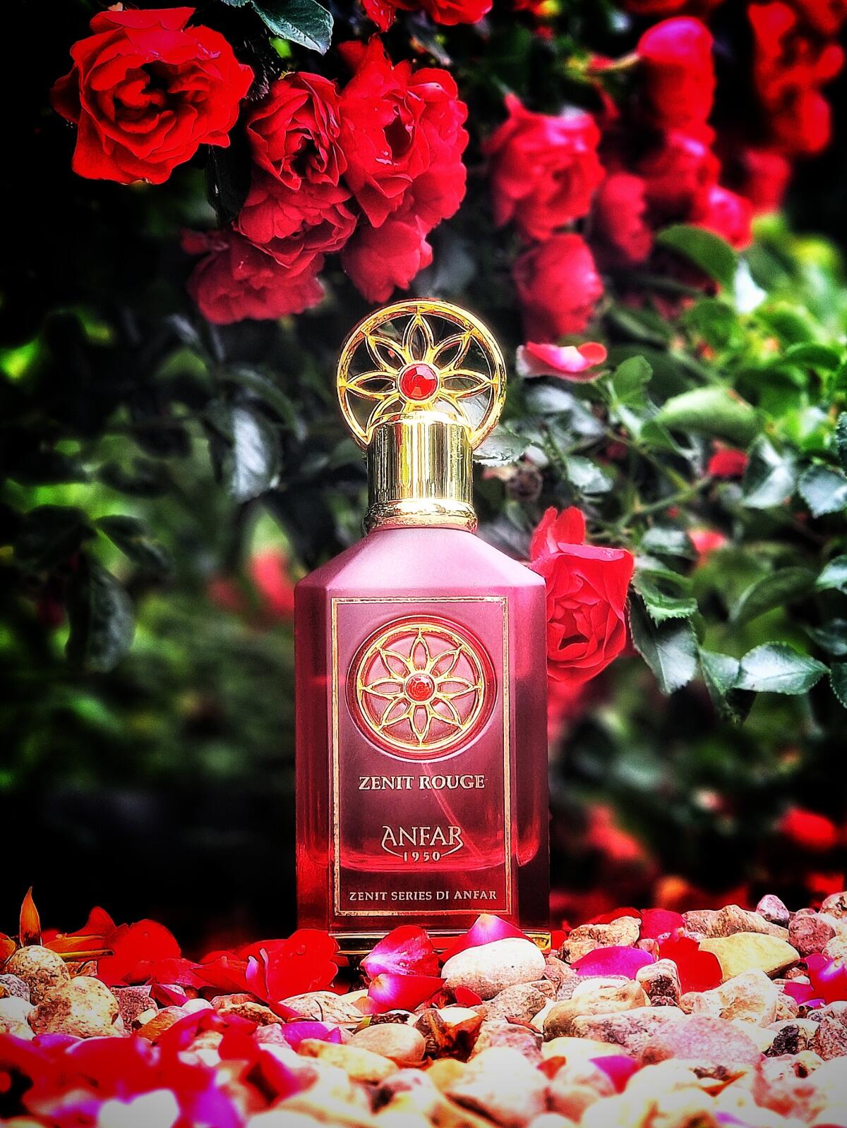 Zenit Rouge Anfar 1950 perfume - a new fragrance for women and men 2024