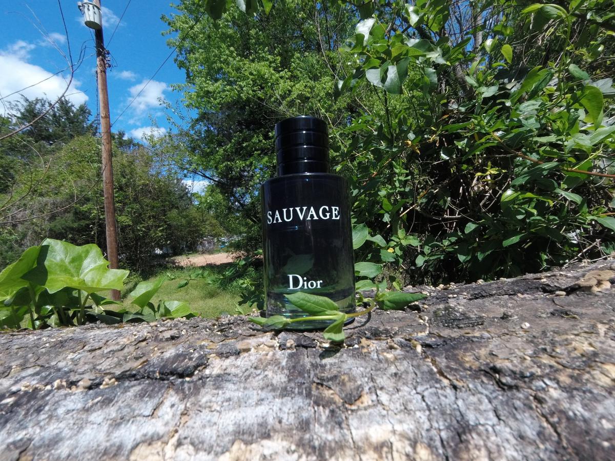 Sauvage Dior Colonia - una fragancia para Hombres 2015