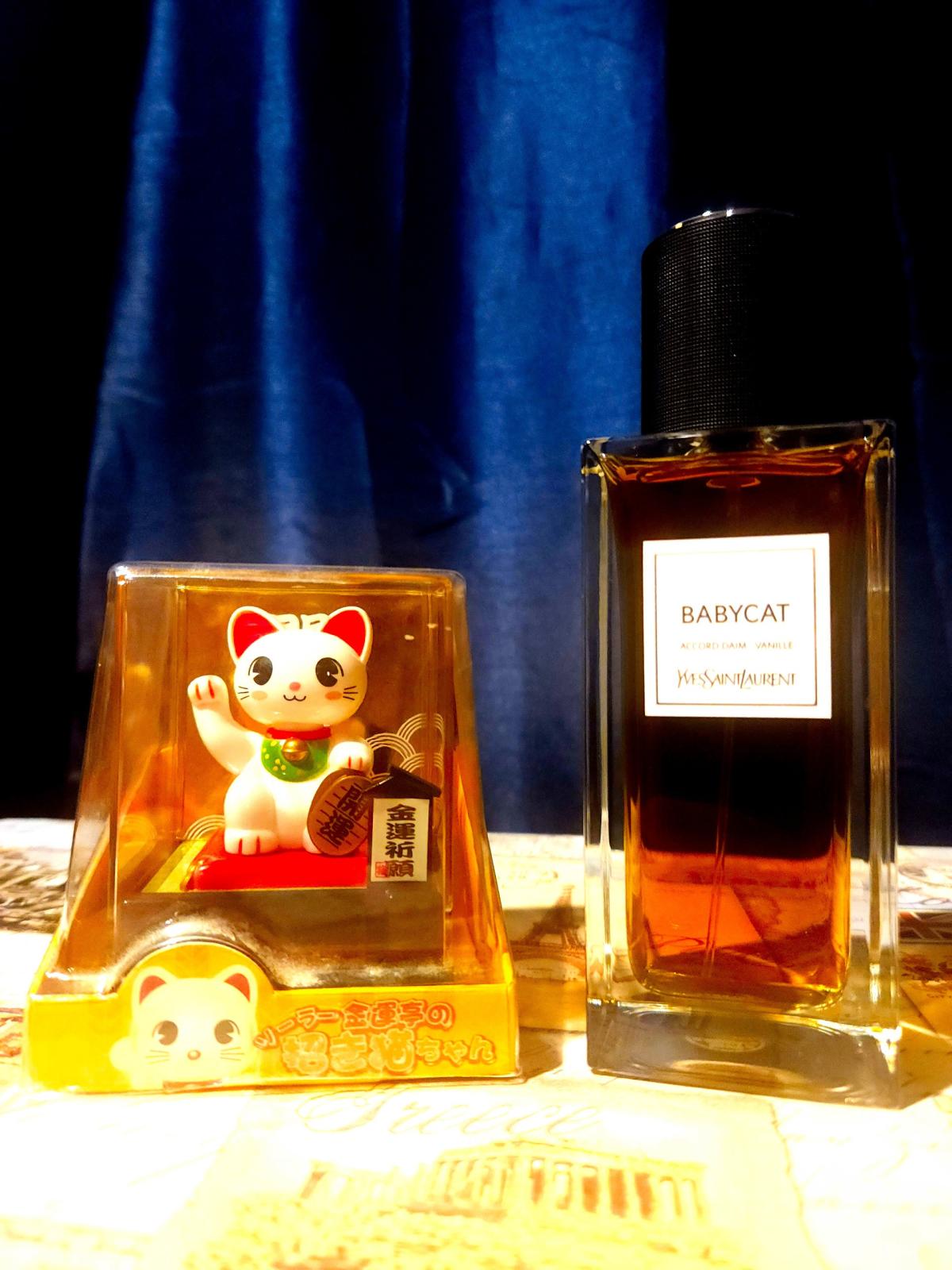 Babycat Yves Saint Laurent perfume - a new fragrance for women and men 2022